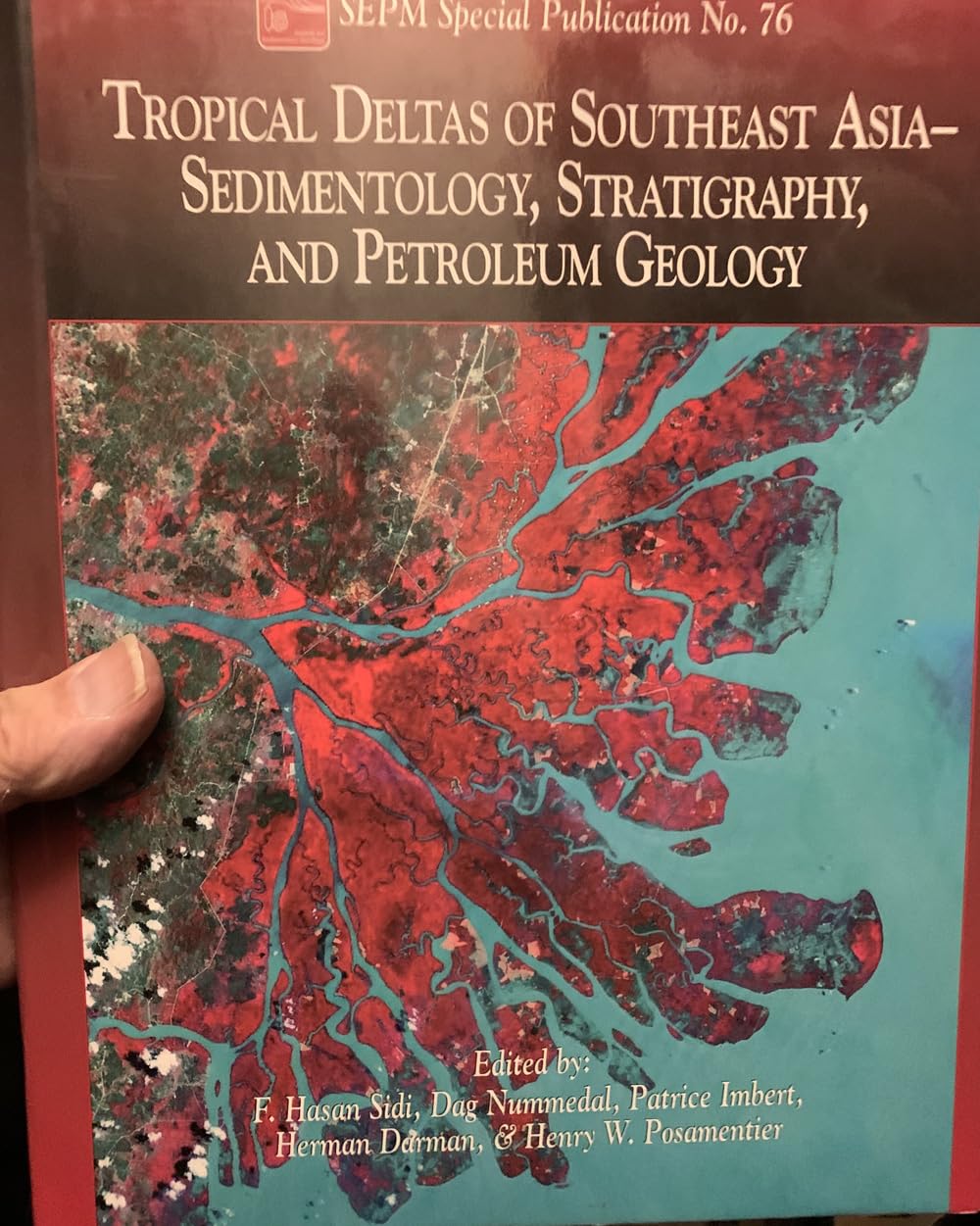 Tropical Deltas of Southeast Asia: Sedimentology, Stratigraphy, and ...