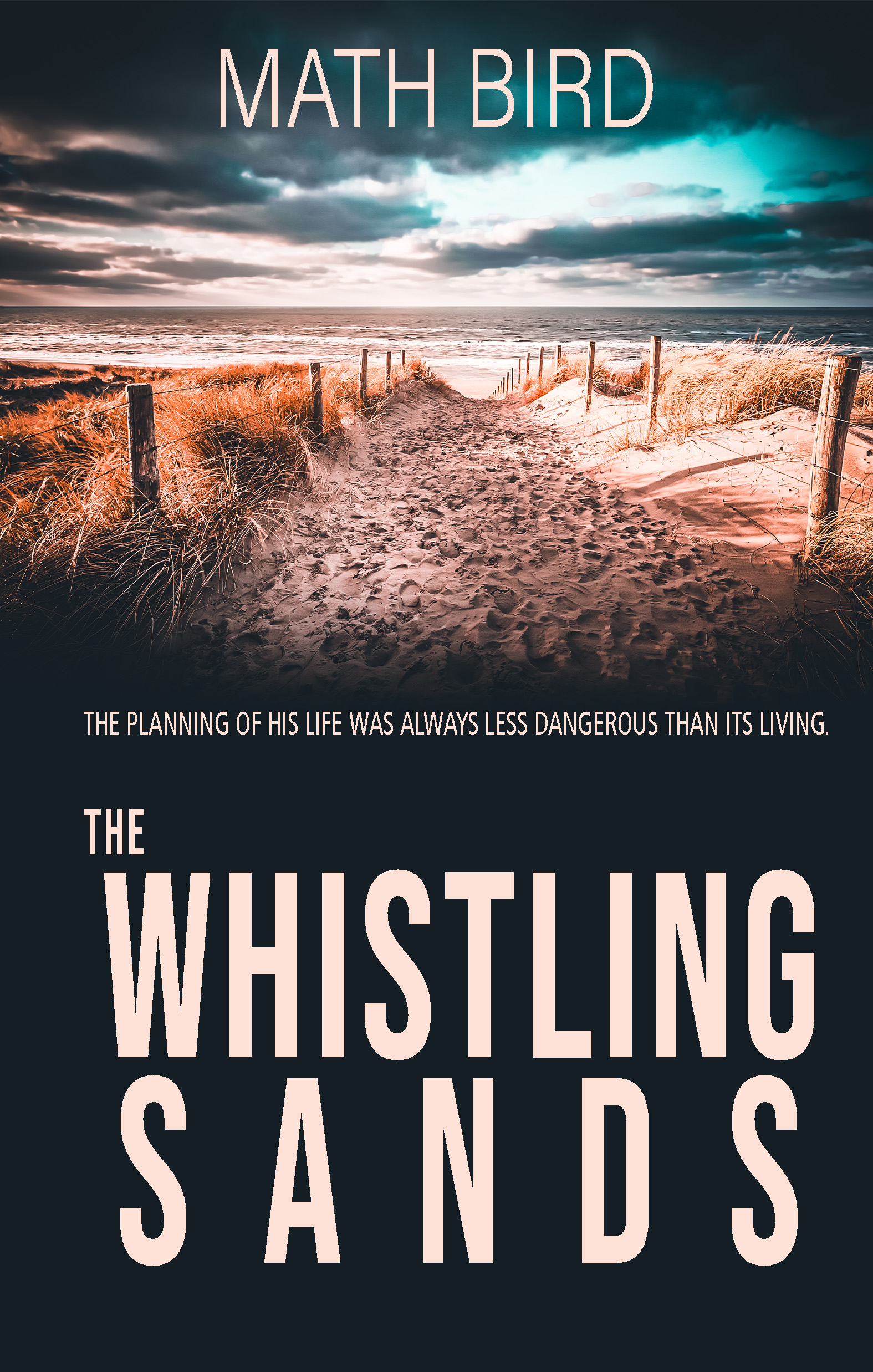 The Whistling Sands by Math Bird | Goodreads