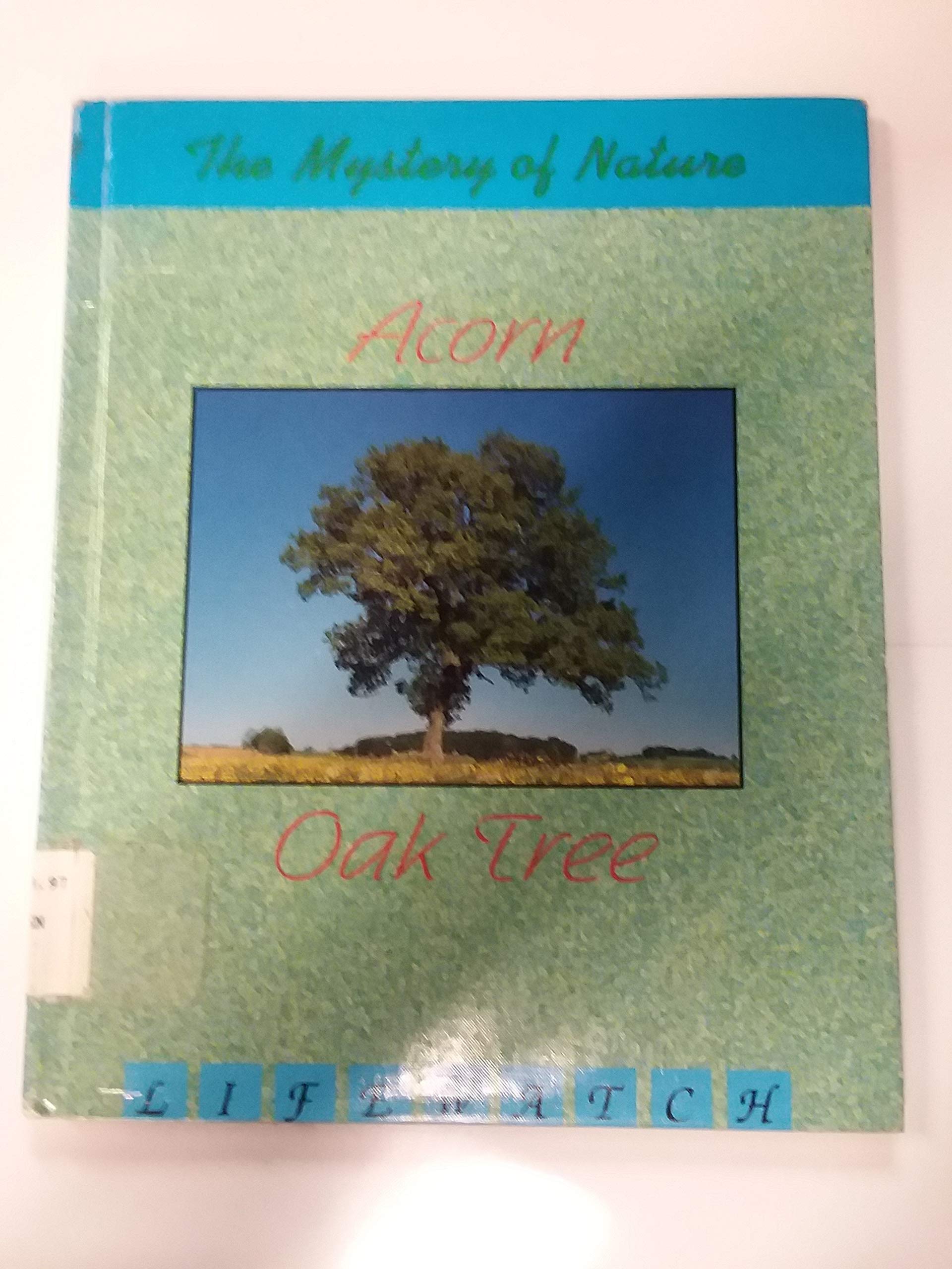 Acorn to Oak Tree (Lifewatch) by Oliver S. Owen | Goodreads