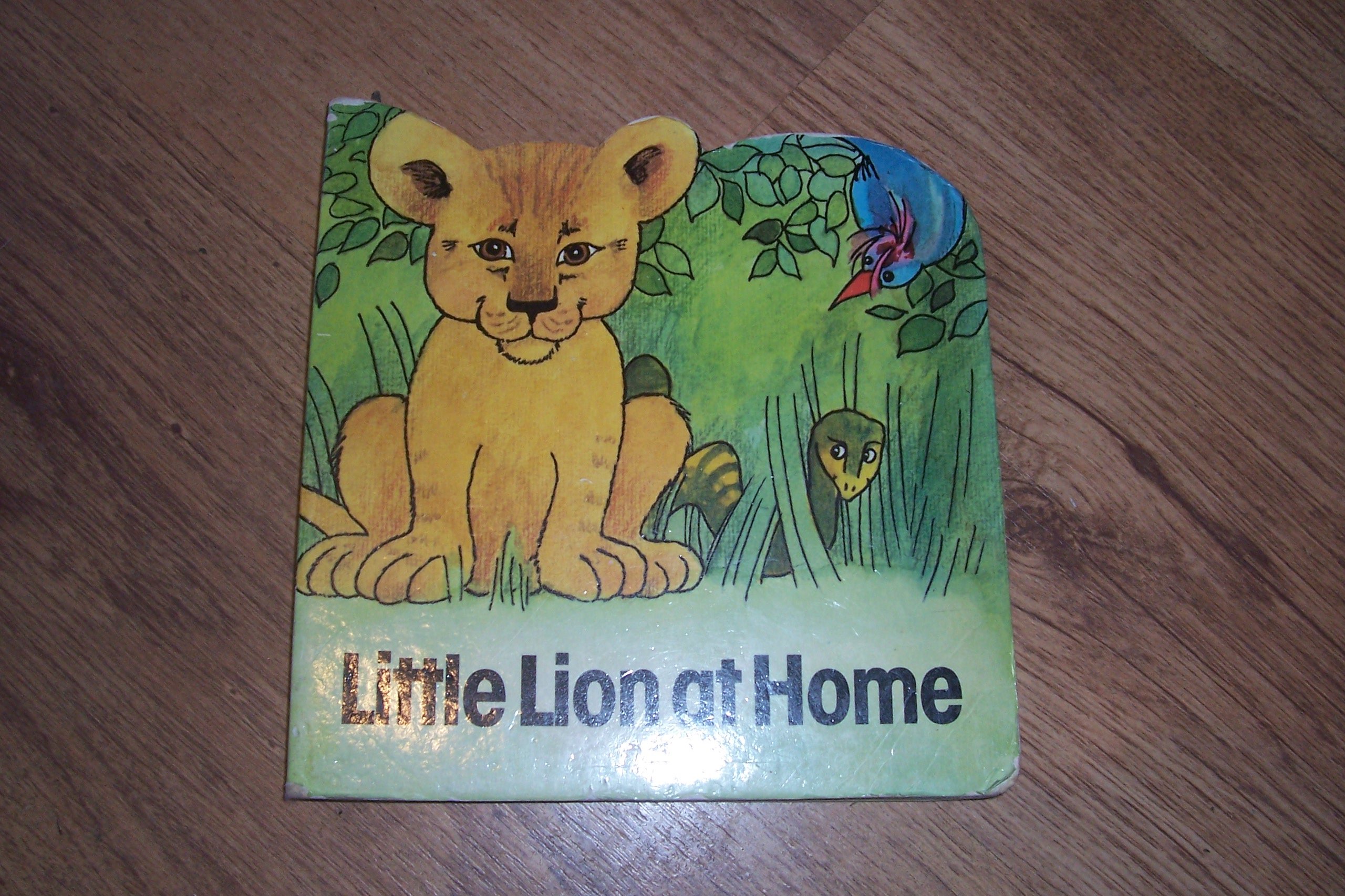 Little Lion at Home (Little Lion Board Books) by Jan Godfrey | Goodreads