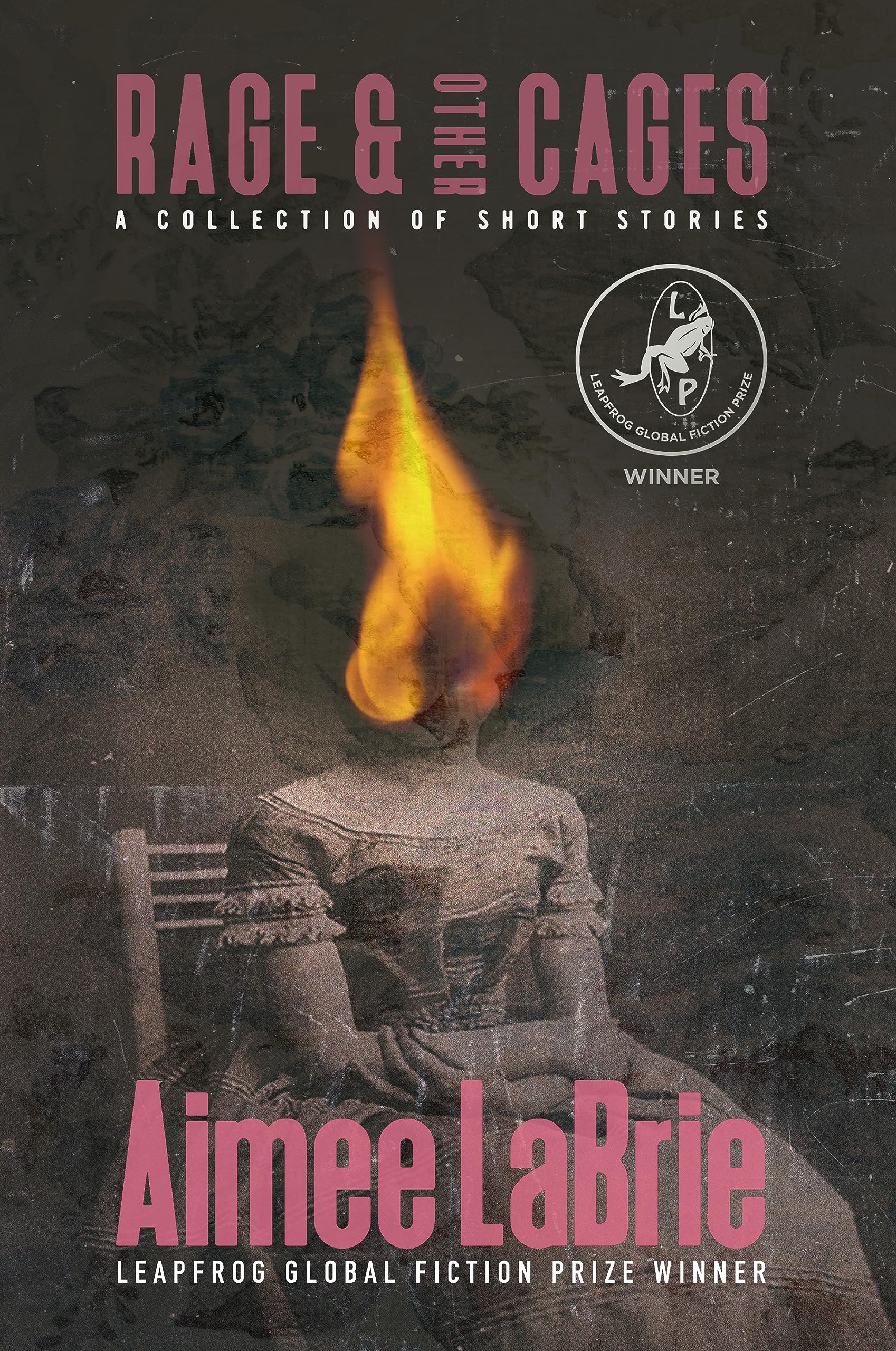 Rage & Other Cages (Leapfrog Global Fiction Prize) by Aimee LaBrie ...