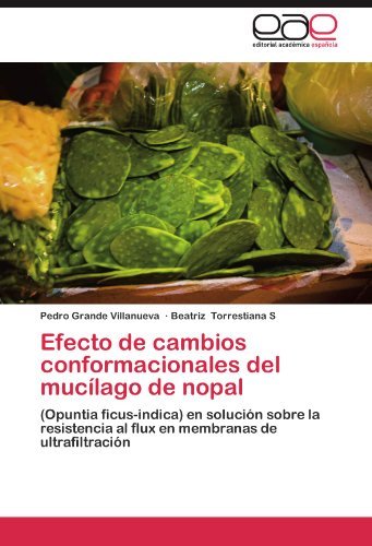 Efecto de cambios conformacionales del muc??lago de nopal: (Opuntia ...