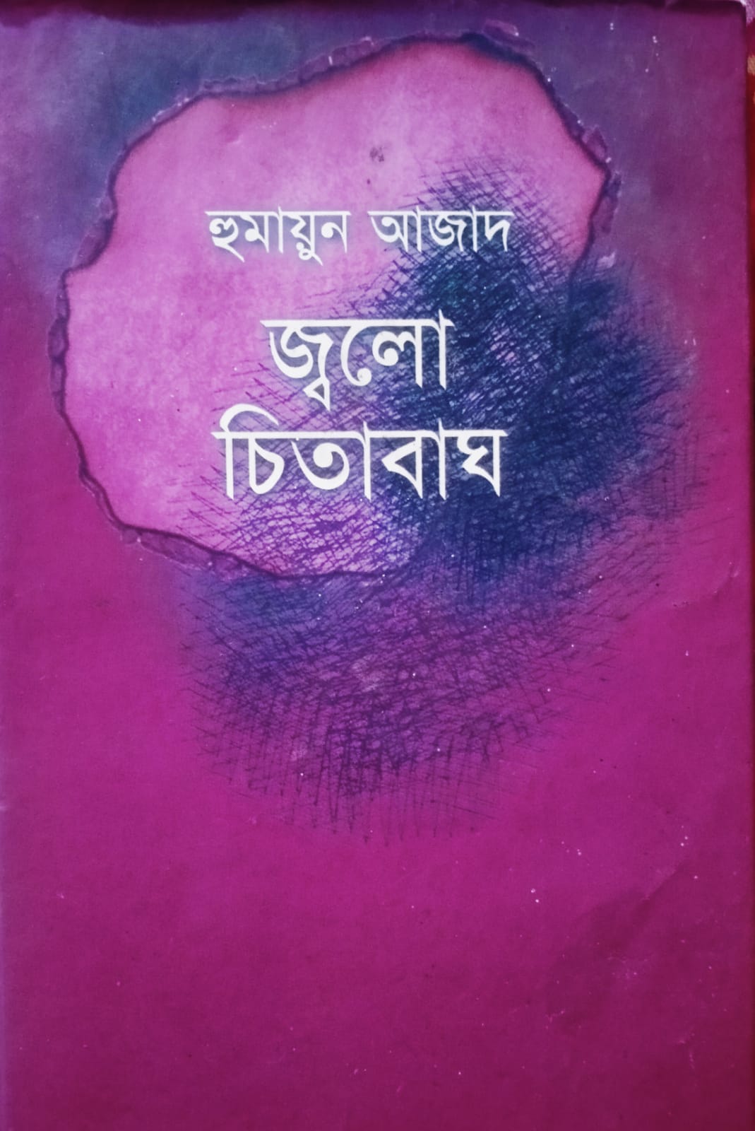 জ্বলো চিতাবাঘ by Humayun Azad | Goodreads
