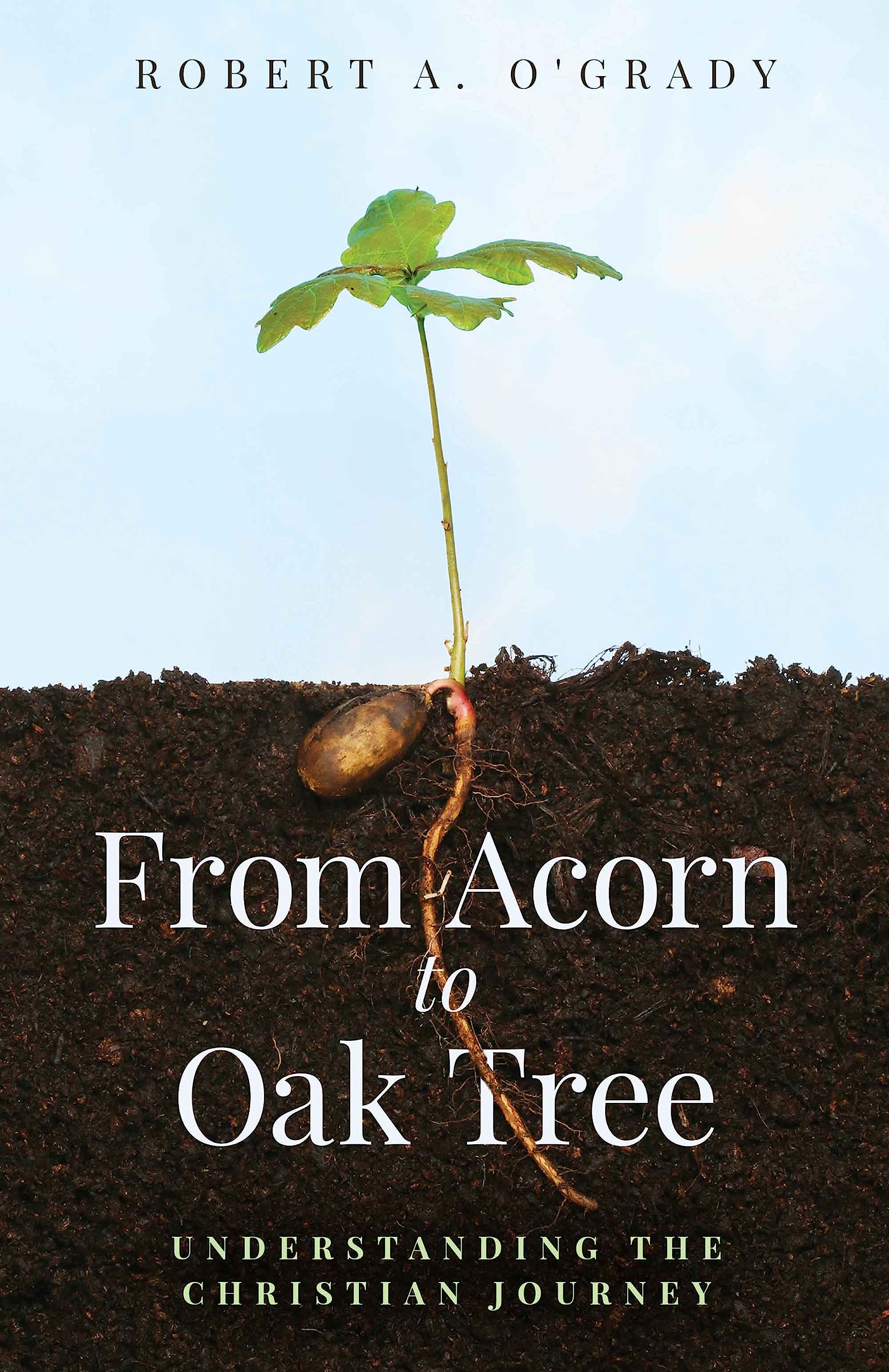 From Acorn to Oak Tree: Understanding the Christian Journey by Robert A ...