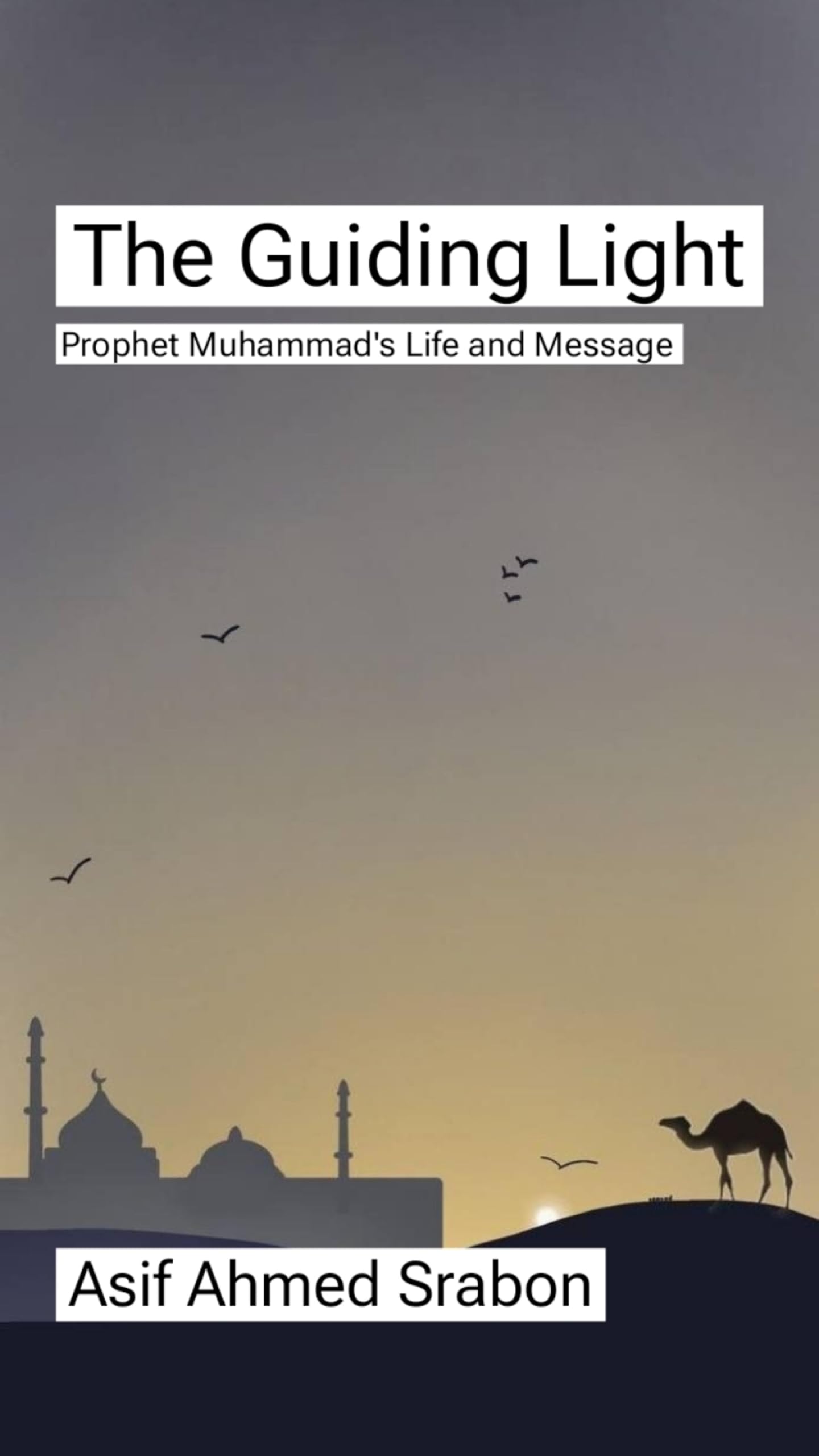 The Guiding Light: Prophet Muhammad's Life and Message by Asif Ahmed ...