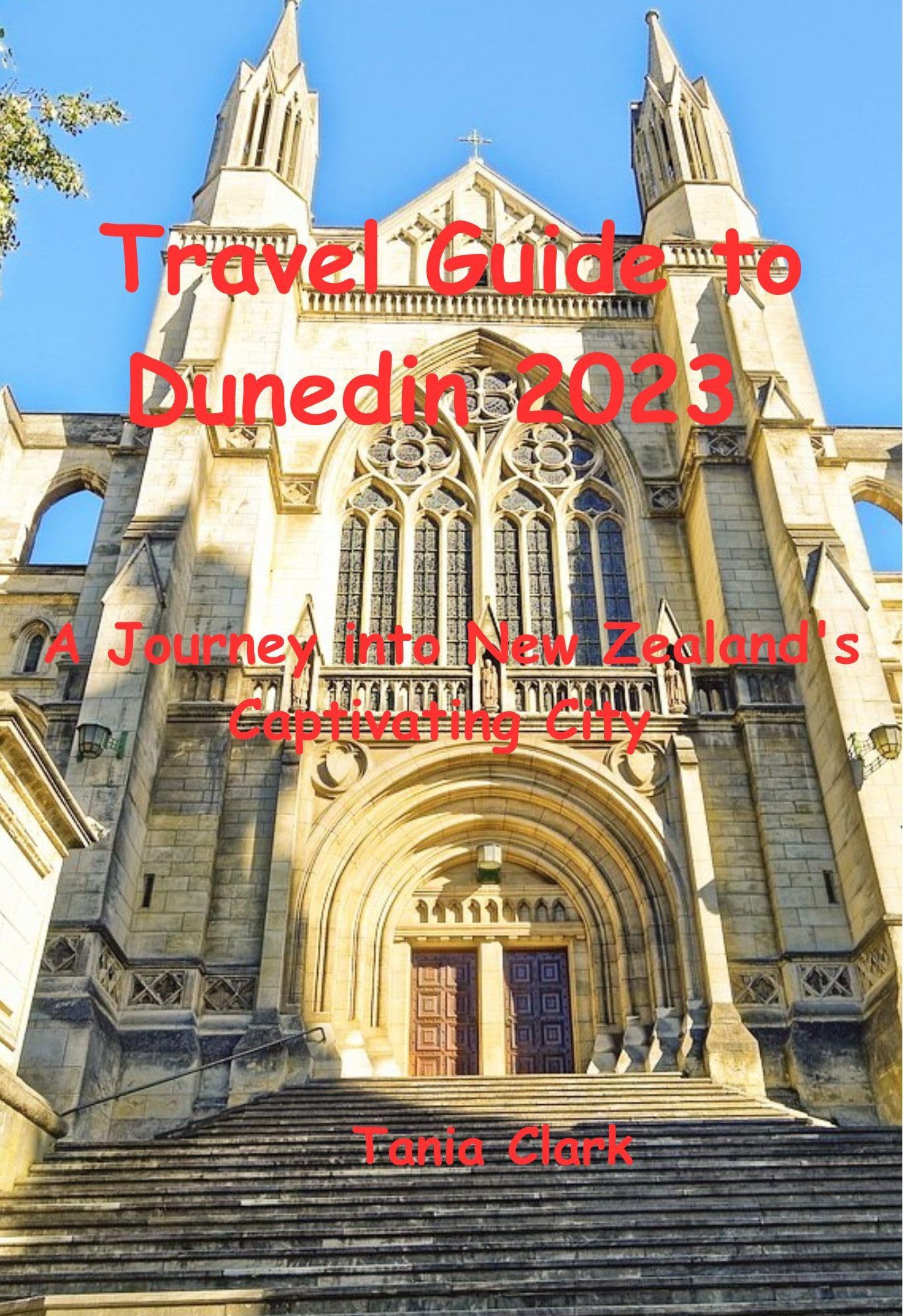 Travel Guide to Dunedin 2023: A Journey into New Zealand's Captivating ...