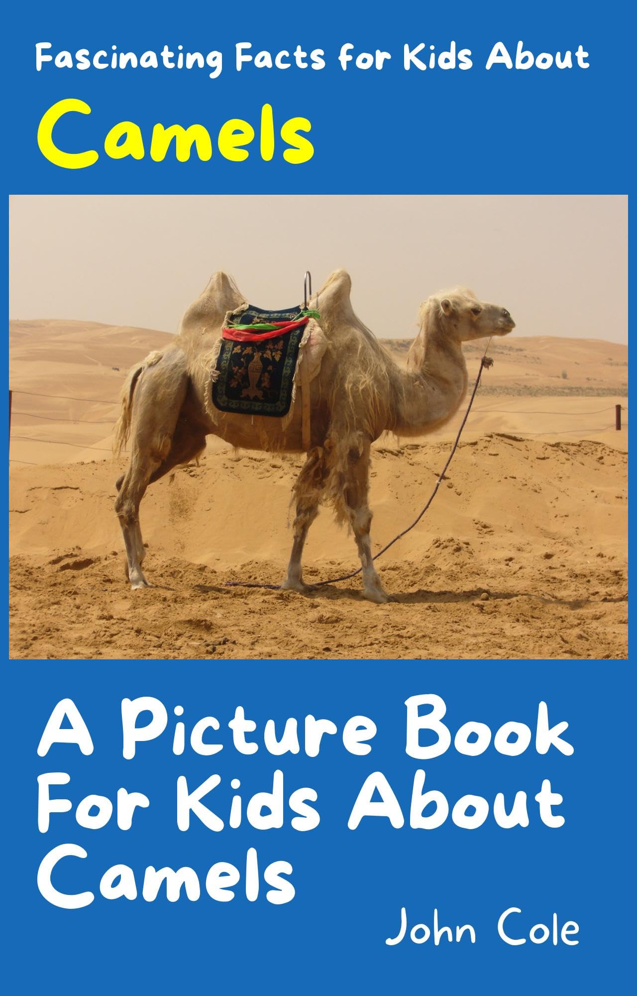 A Picture for Kids About Camels: Fascinating Facts for Kids About ...