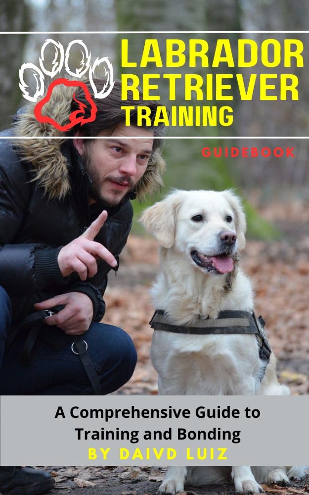 Labrador Retriever Training: A Comprehensive Guide to Training and ...