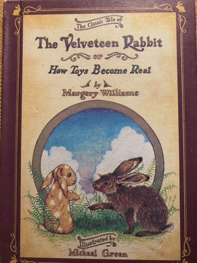 The Velveteen Rabbit Or How Toys Become Real Illustrated by Michael ...