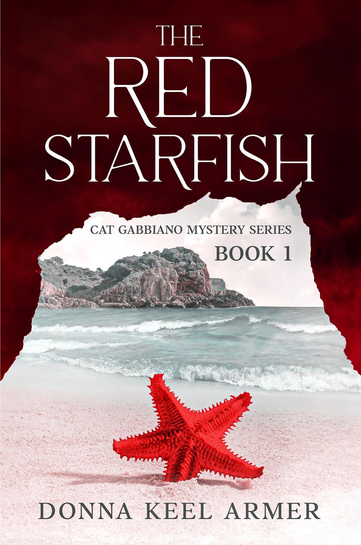 The Red Starfish by Donna Keel Armer | Goodreads
