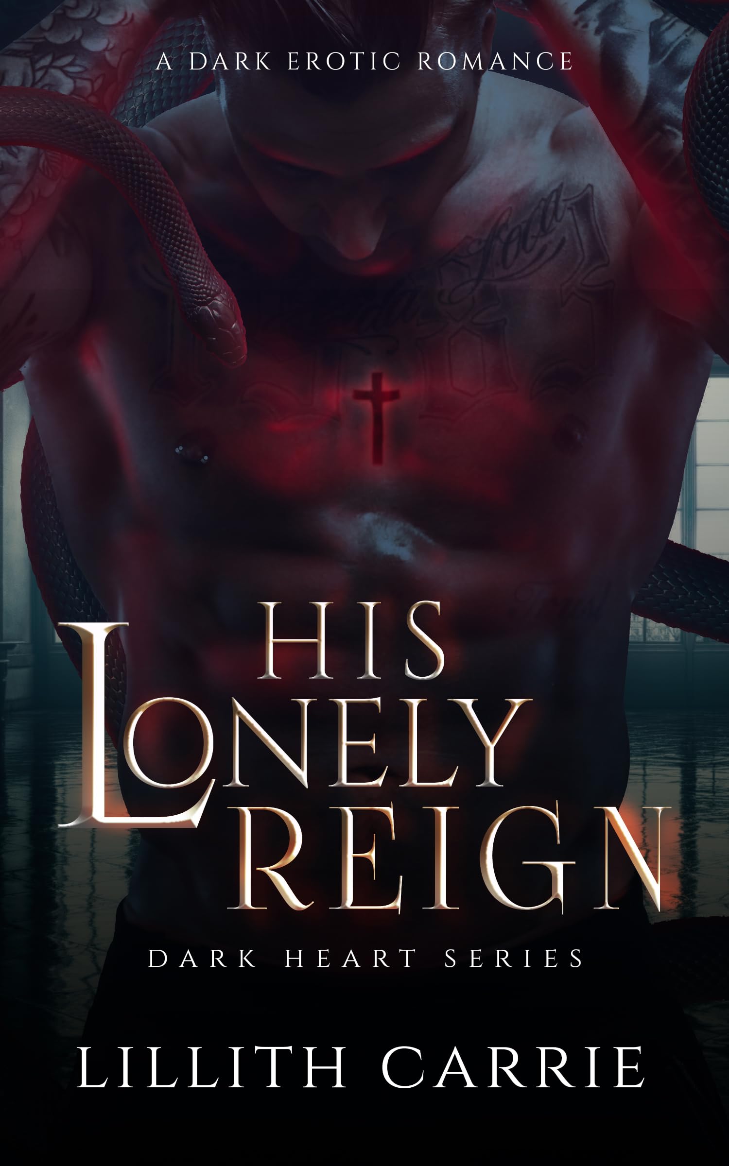 His Lonely Reign: Dark Heart Series Book One by Lillith Carrie | Goodreads