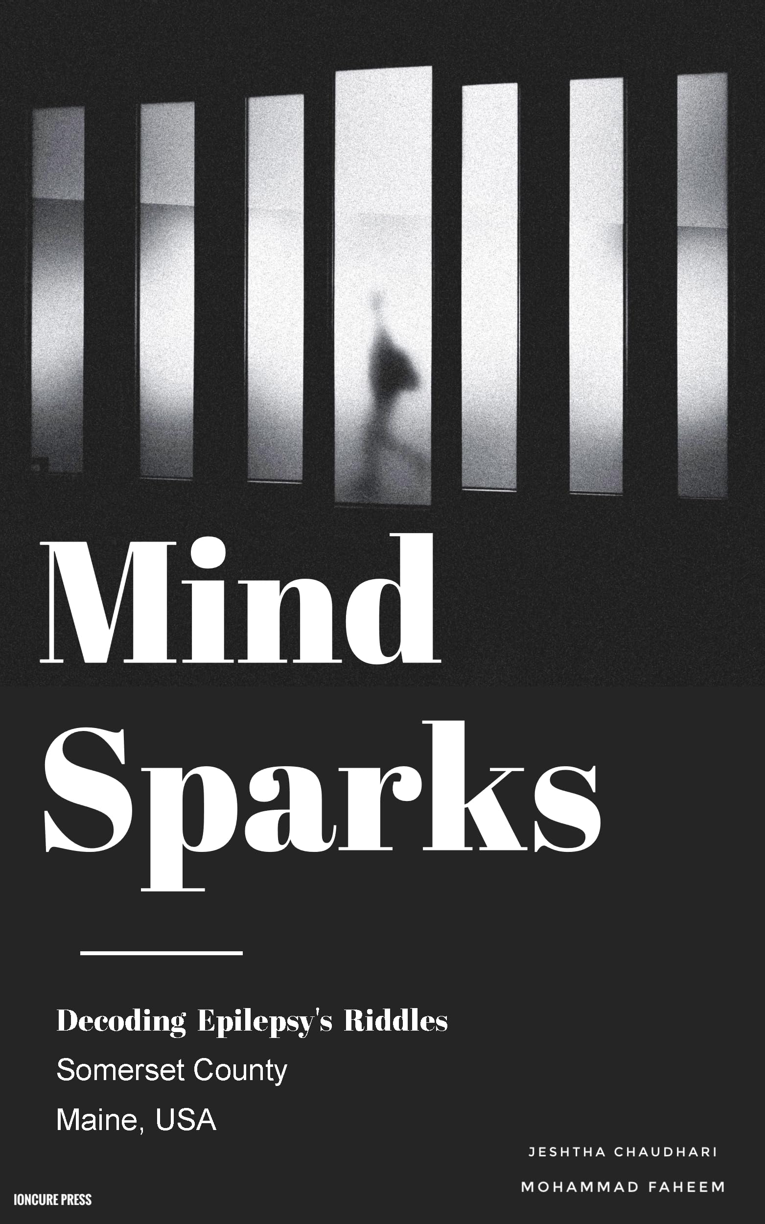 Mind Sparks: Decoding Epilepsy’s Riddles Somerset County , Maine USA by ...