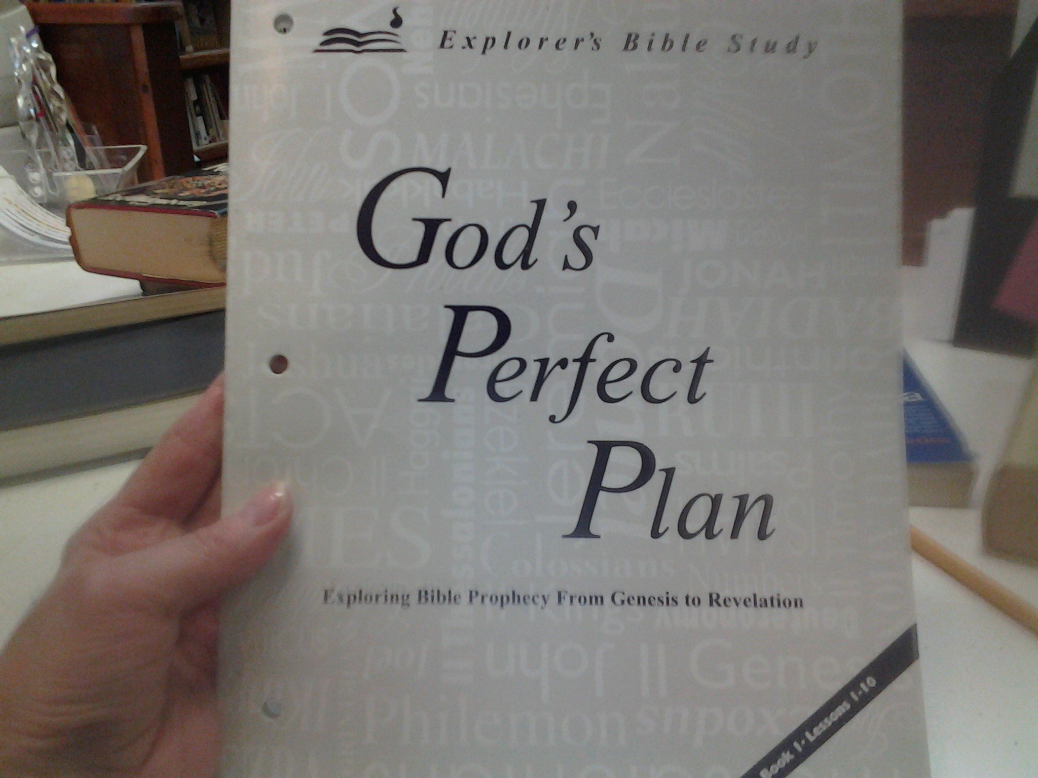 God's Perfect Plan: Exploring Bible Prophecy from Genesis to Revelation ...