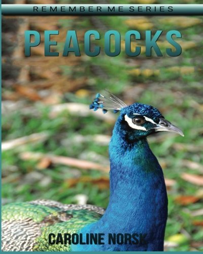 Peacock: Amazing Photos & Fun Facts Book About Peacock For Kids ...