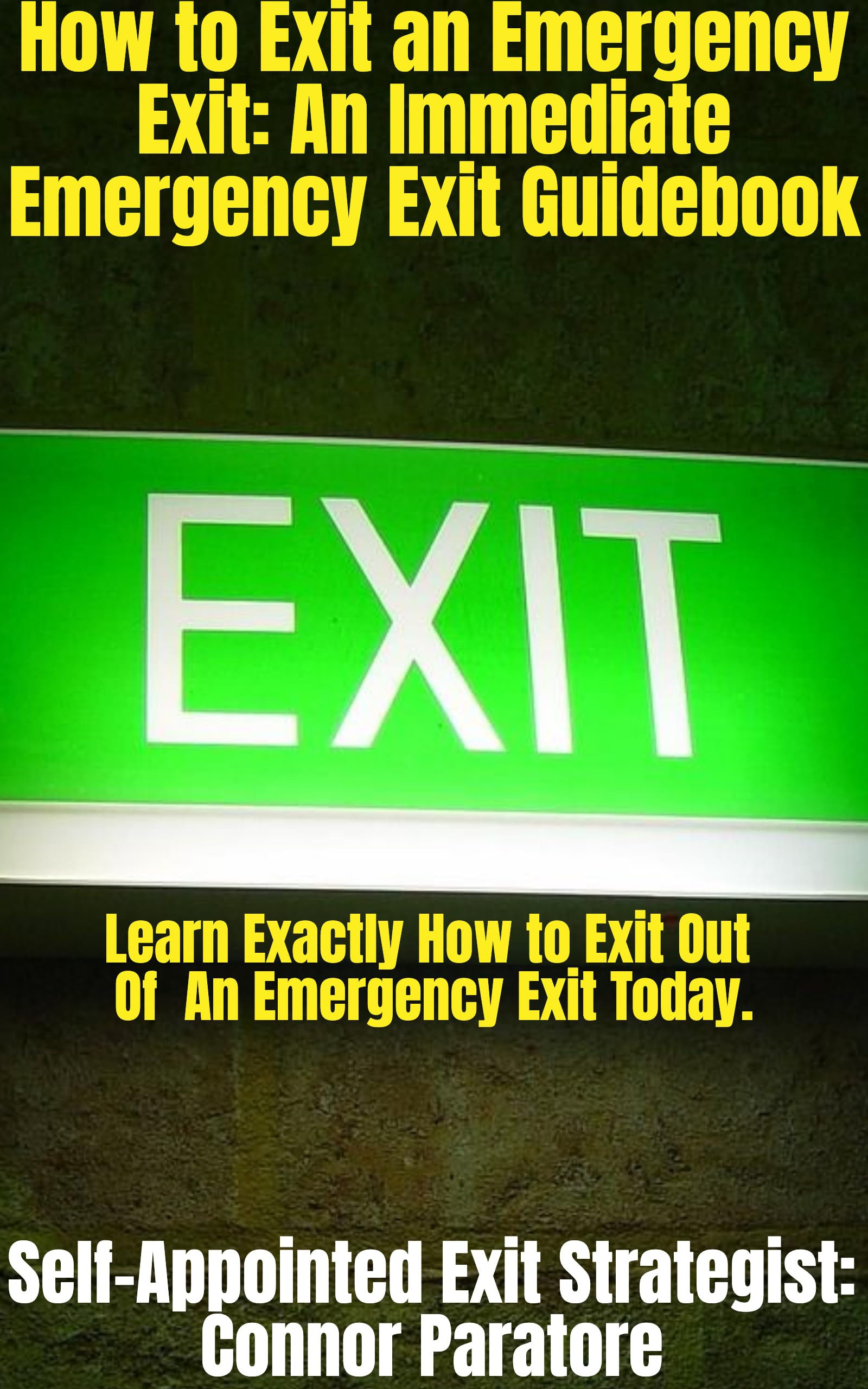 How To Exit An Emergency Exit An Immediate Emergency Exit Guidebook