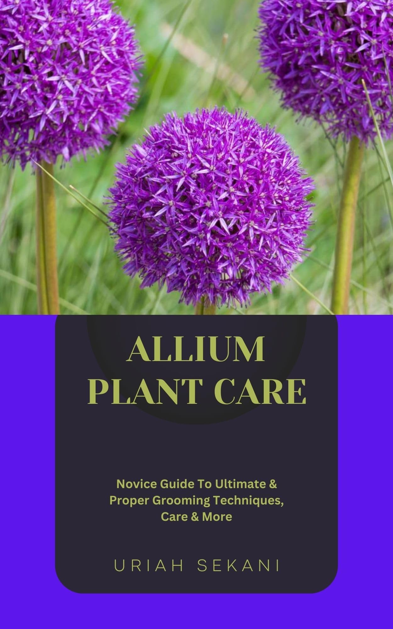 ALLIUM PLANT CARE: Novice Guide To Ultimate & Proper Grooming ...