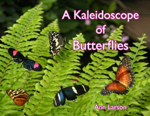 A Kaleidoscope of Butterflies by Ann Larson | Goodreads