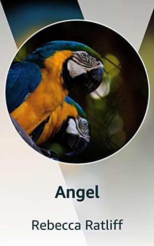 Angel (Backstory from Around the World in 80 Men) by Rebecca Ratliff ...