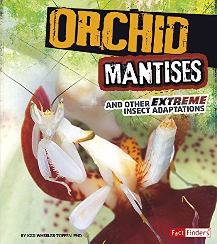 Orchid Mantises and Other Extreme Insect Adaptations (Extreme ...