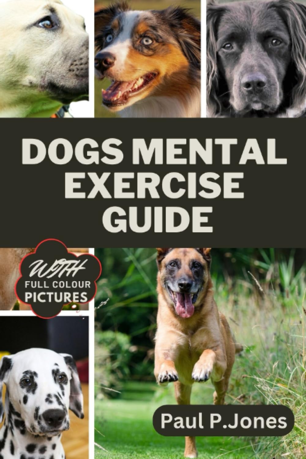 Dogs Mental Exercise Guide A Step by Step Illustrated Training Guide dogs-mental-exercise-guide-a-step-by-step-illustrated-training-guide
