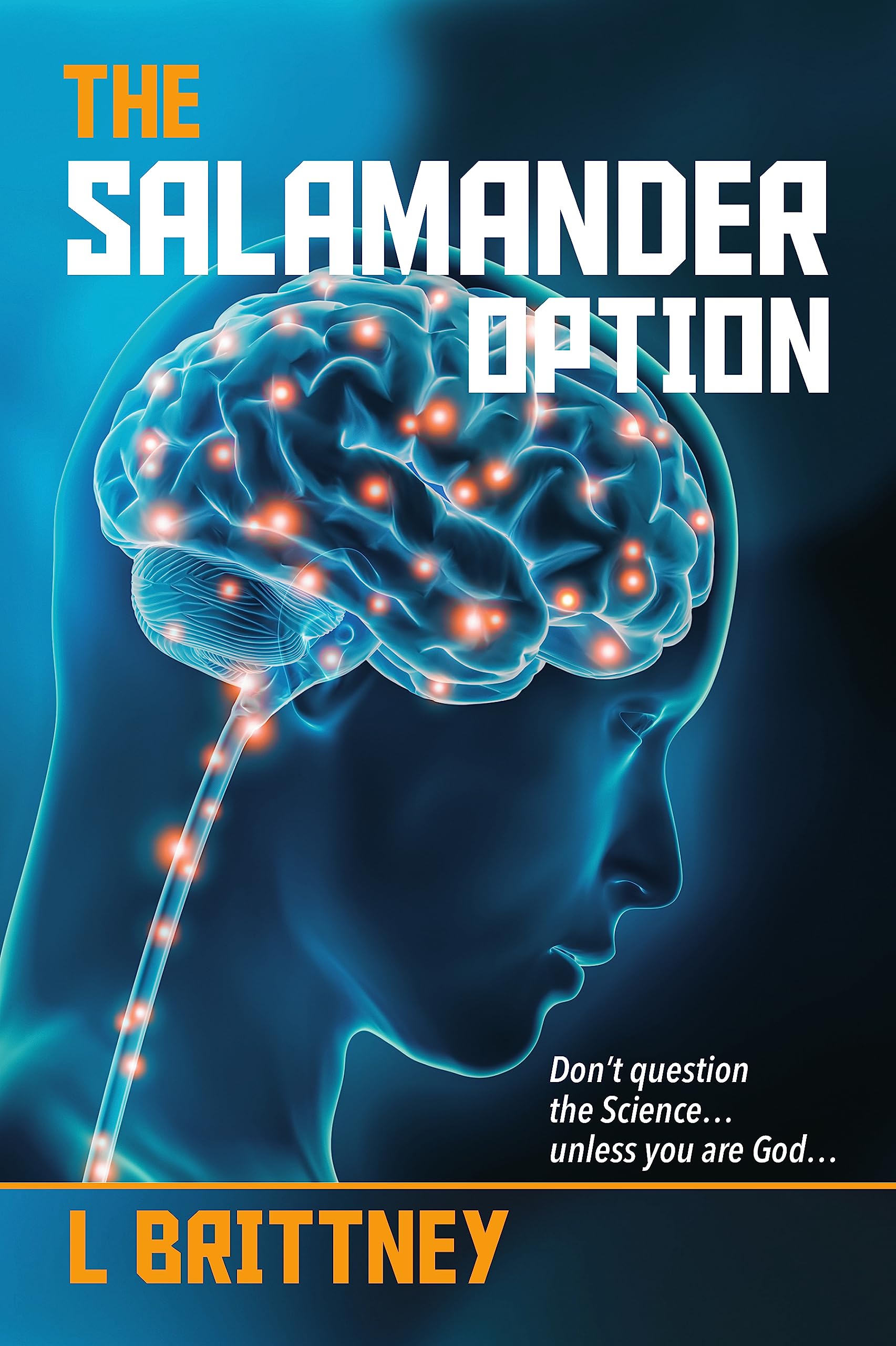 The Salamander Option by L Brittney | Goodreads