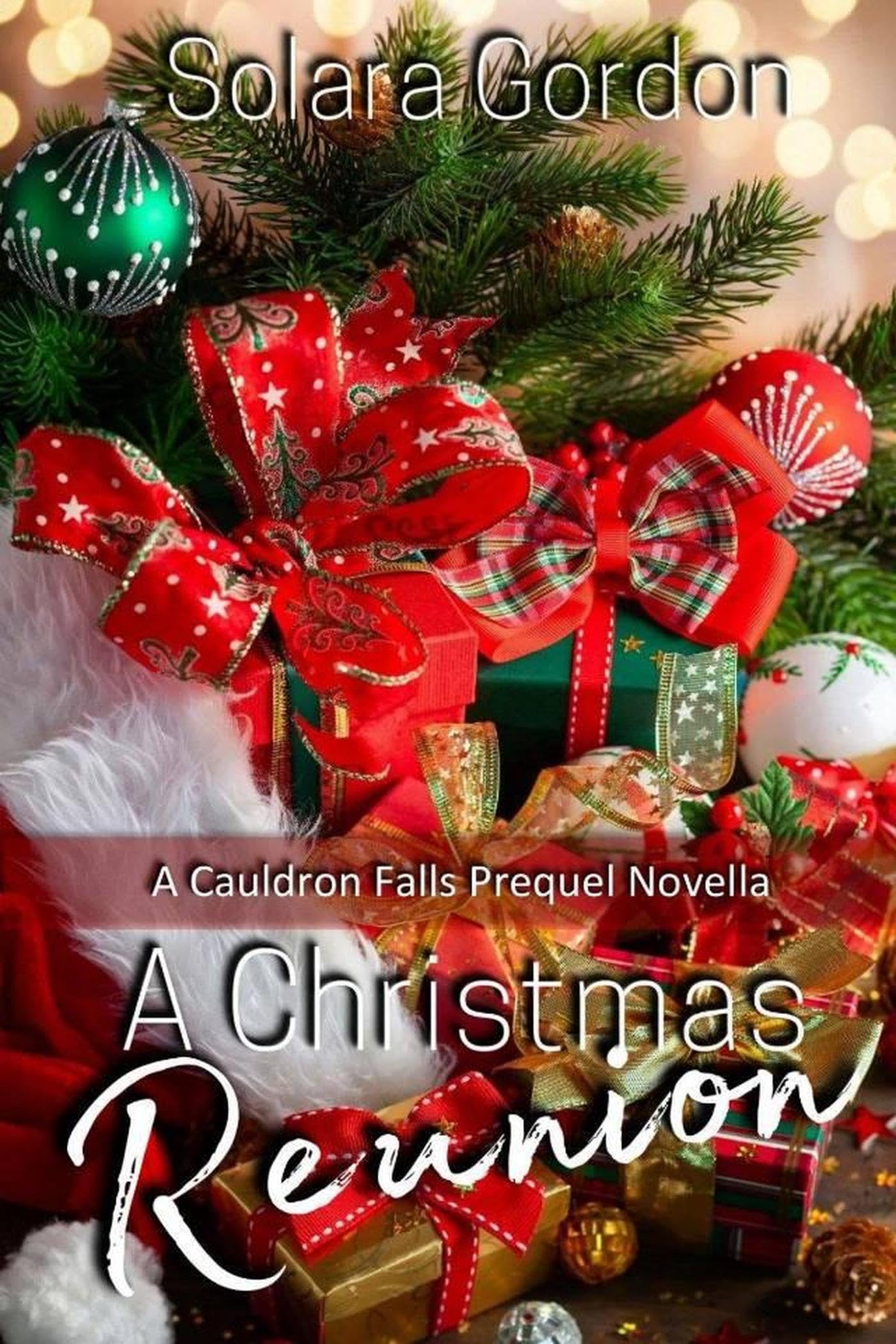 A Christmas Reunion (Cauldron Falls) by Solara Gordon | Goodreads