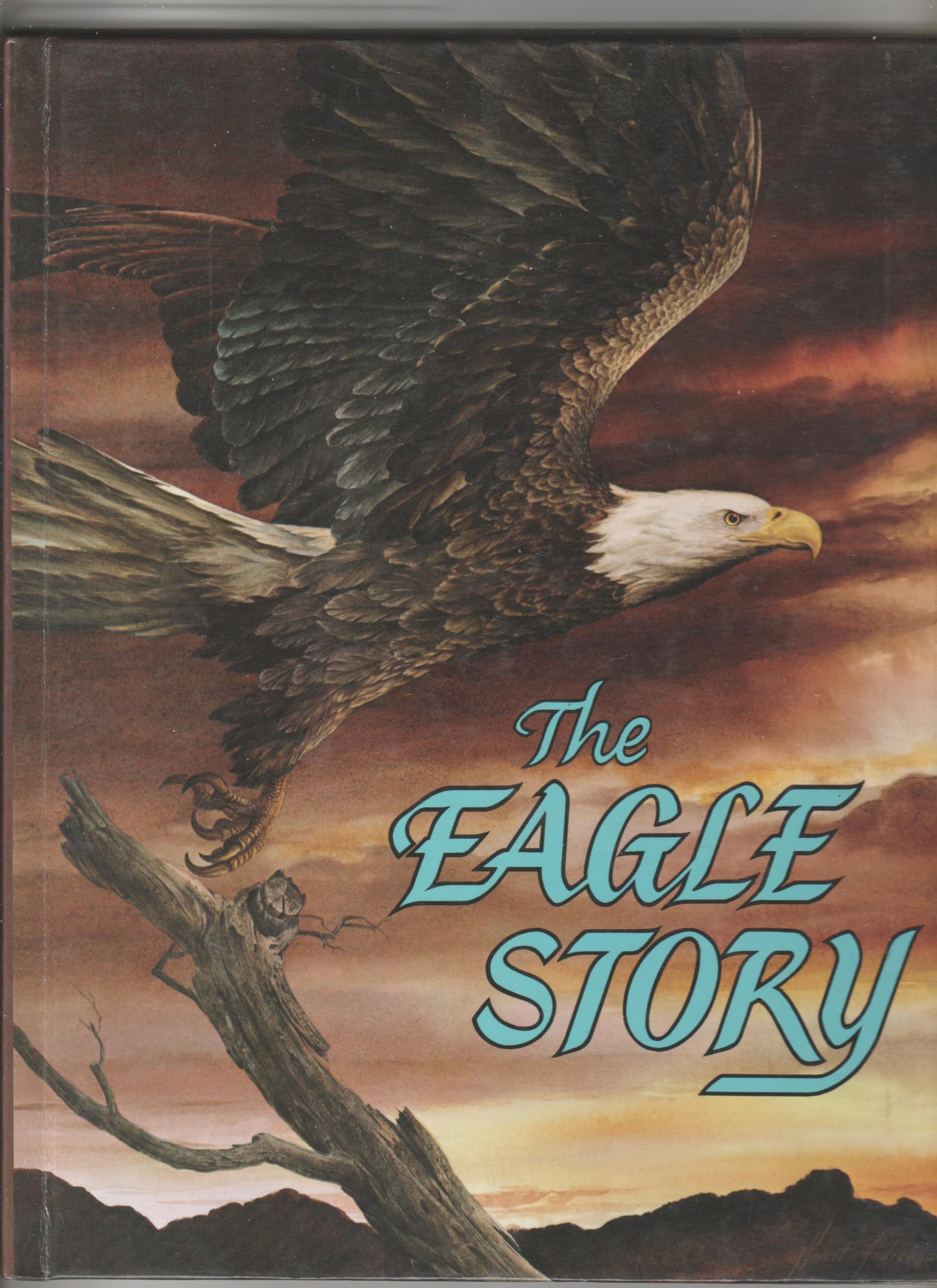 The Eagle Story by Institute in Basic Youth Conflicts (Bill Gothard ...