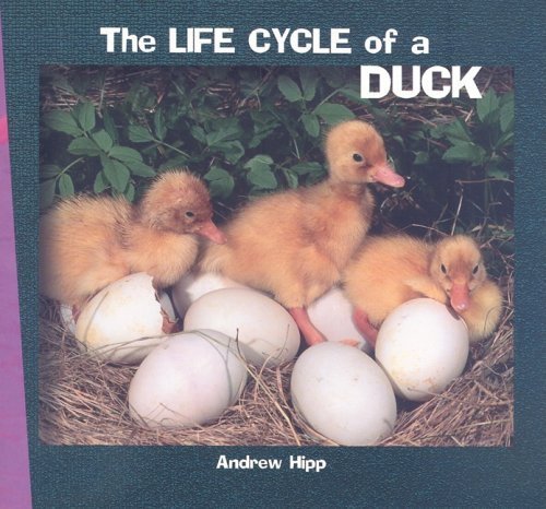 The Life Cycle of a Duck (The Life Cycles Library) by Andrew Hipp ...
