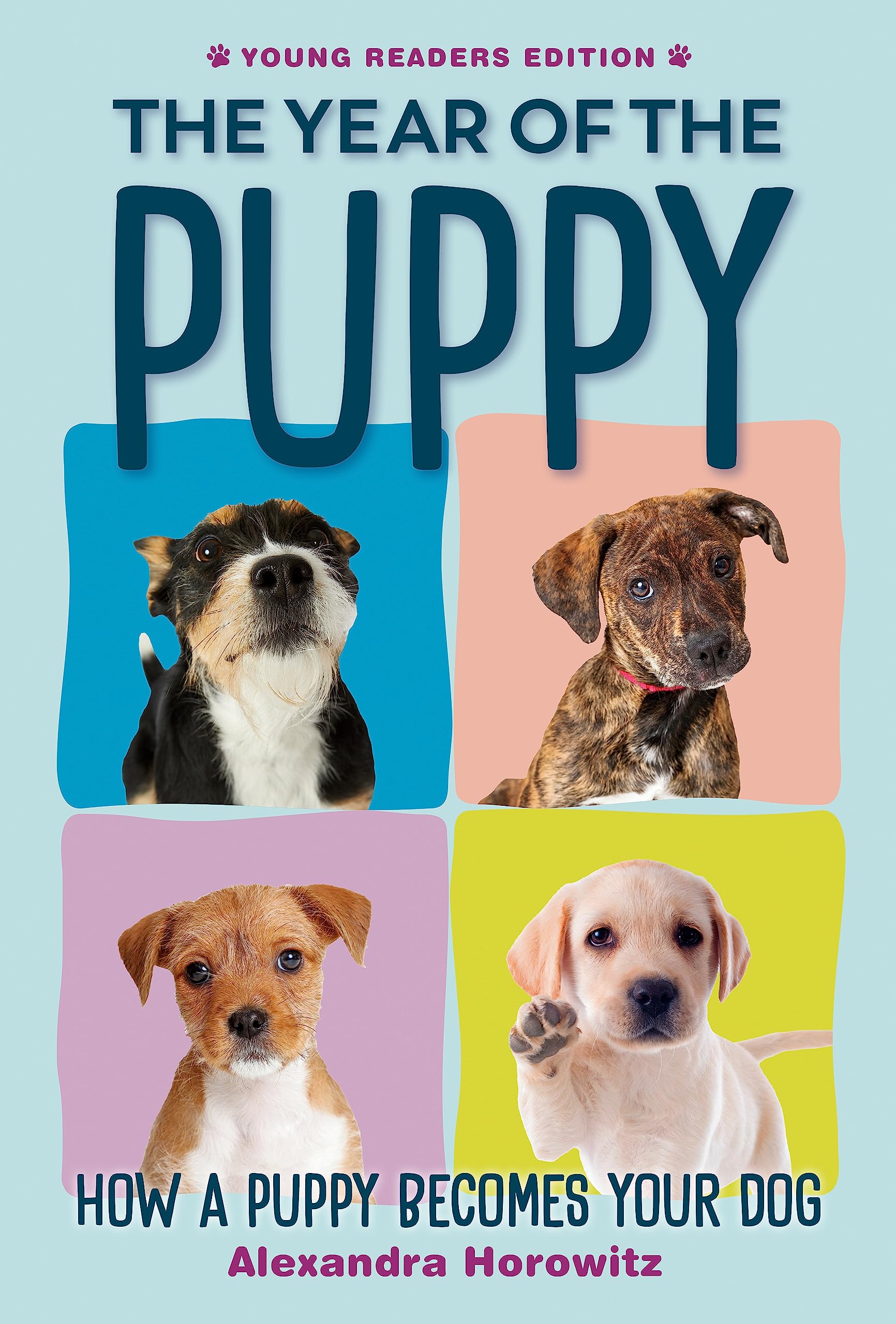 The Year of the Puppy: How a Puppy Becomes Your Dog by Alexandra ...