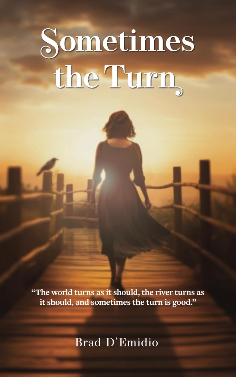 Sometimes The Turn by Brad D'Emidio | Goodreads