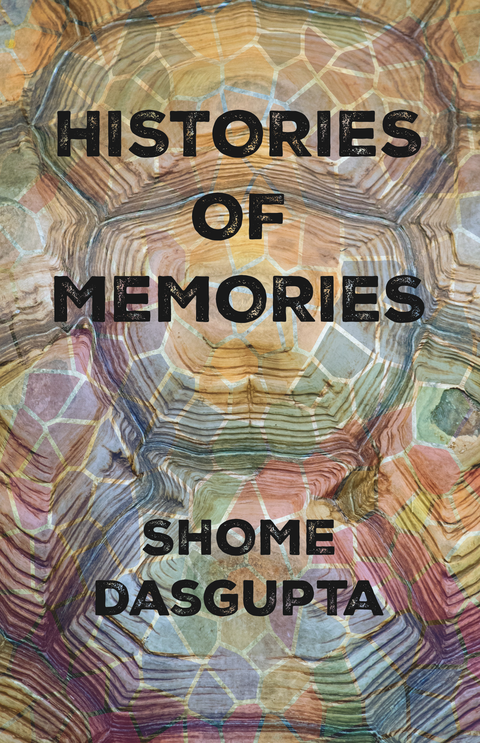 Histories Of Memories by Shome Dasgupta | Goodreads