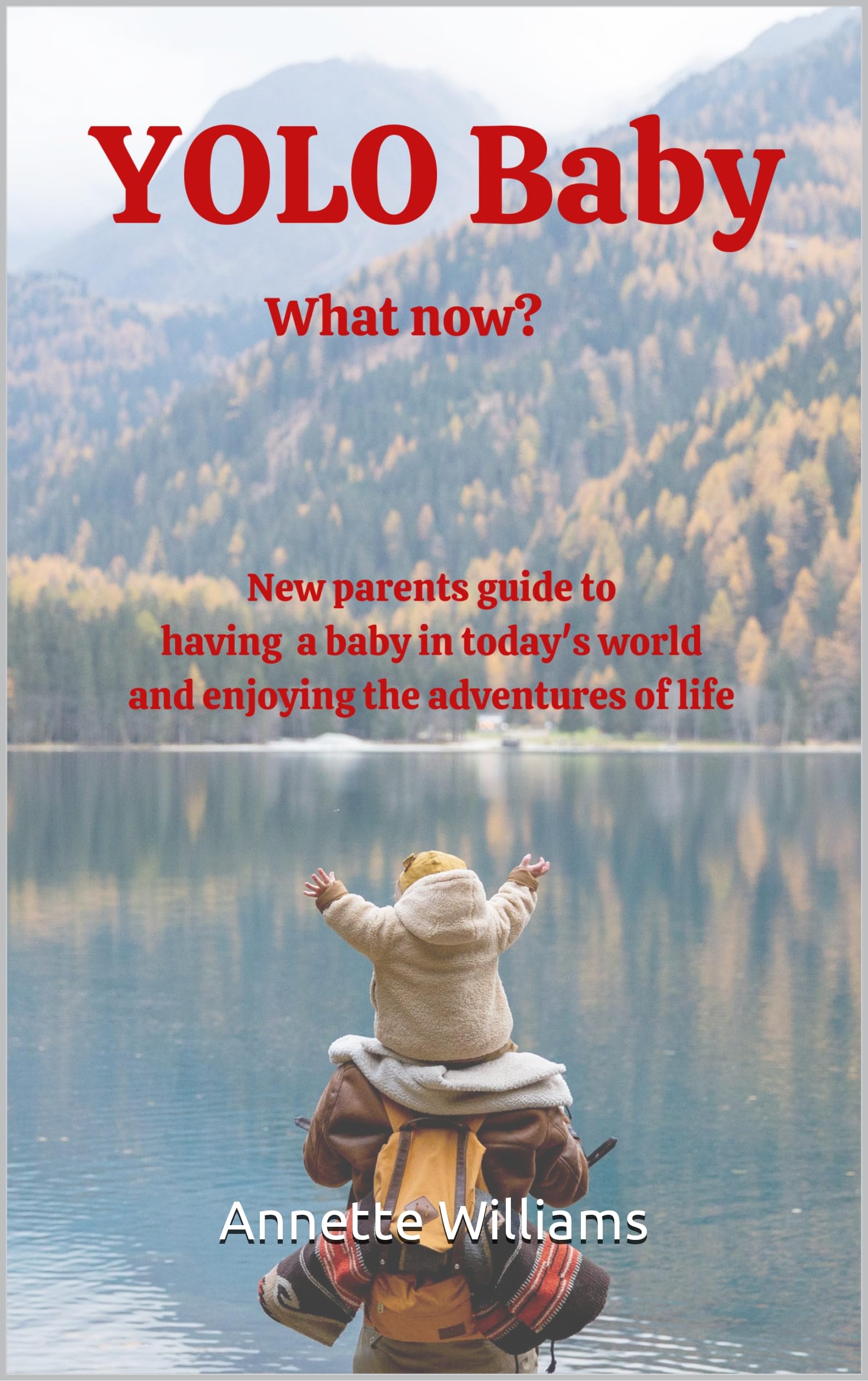 YOLO Baby What Now: New parents guide to having a baby in today's world ...