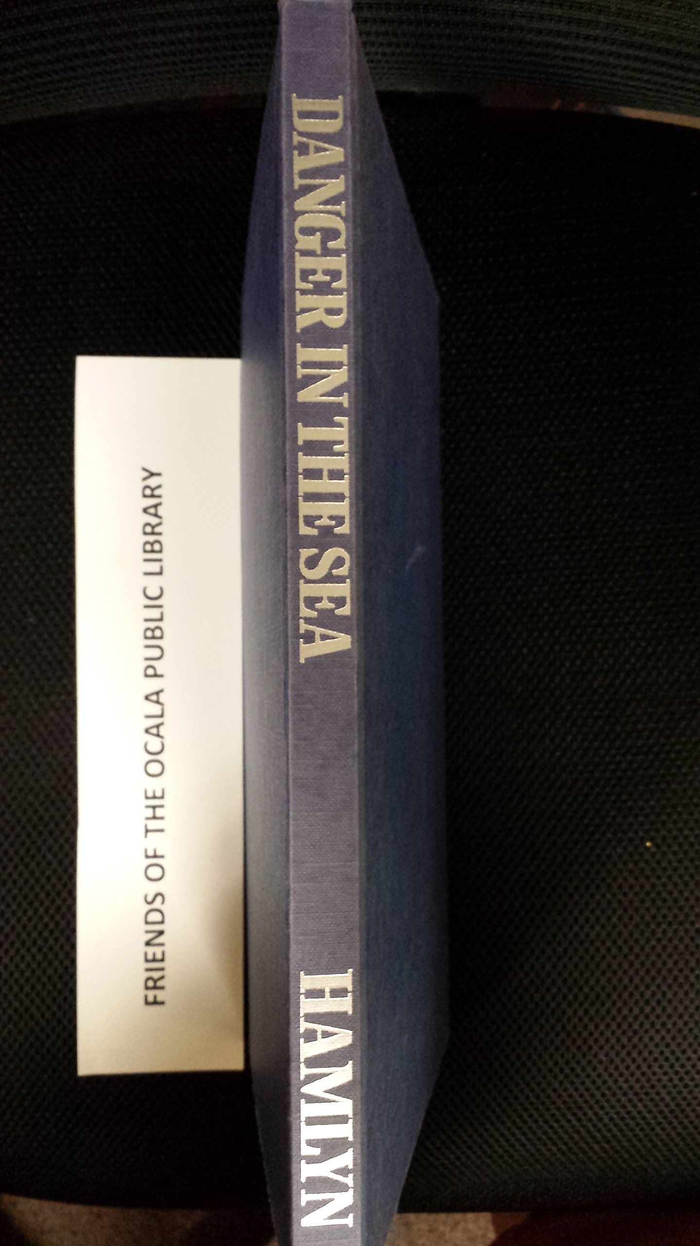 Danger in the sea by Alec FRASER-BRUMMER | Goodreads