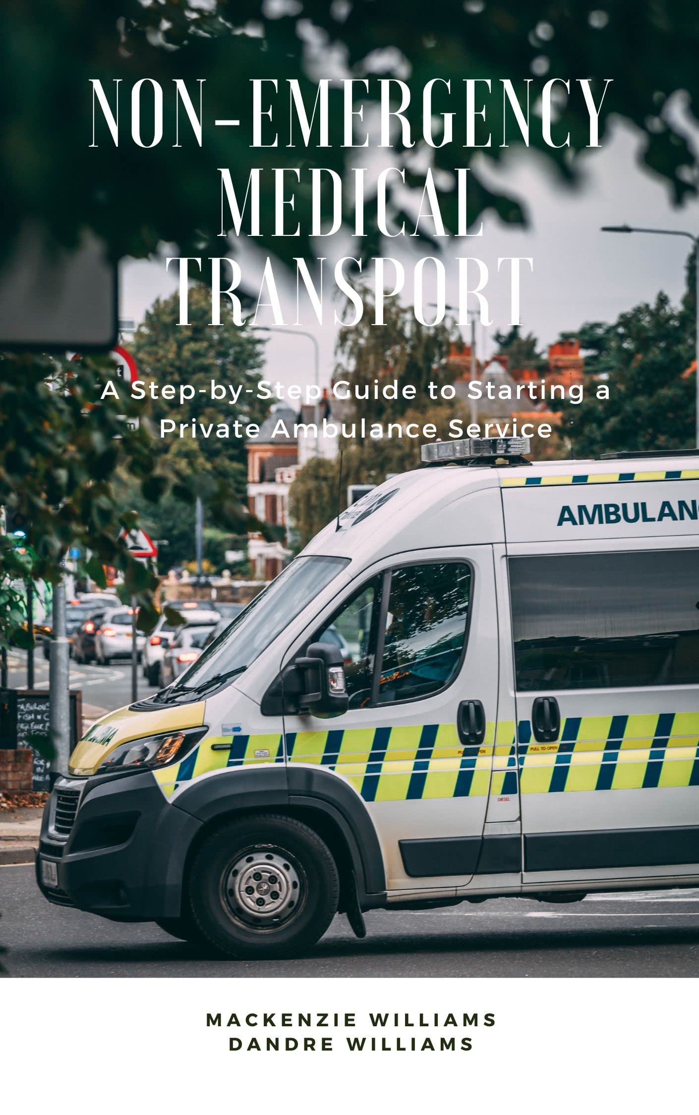 Non-Emergency Medical Transport: A Step-By-Step Guide to Starting a ...