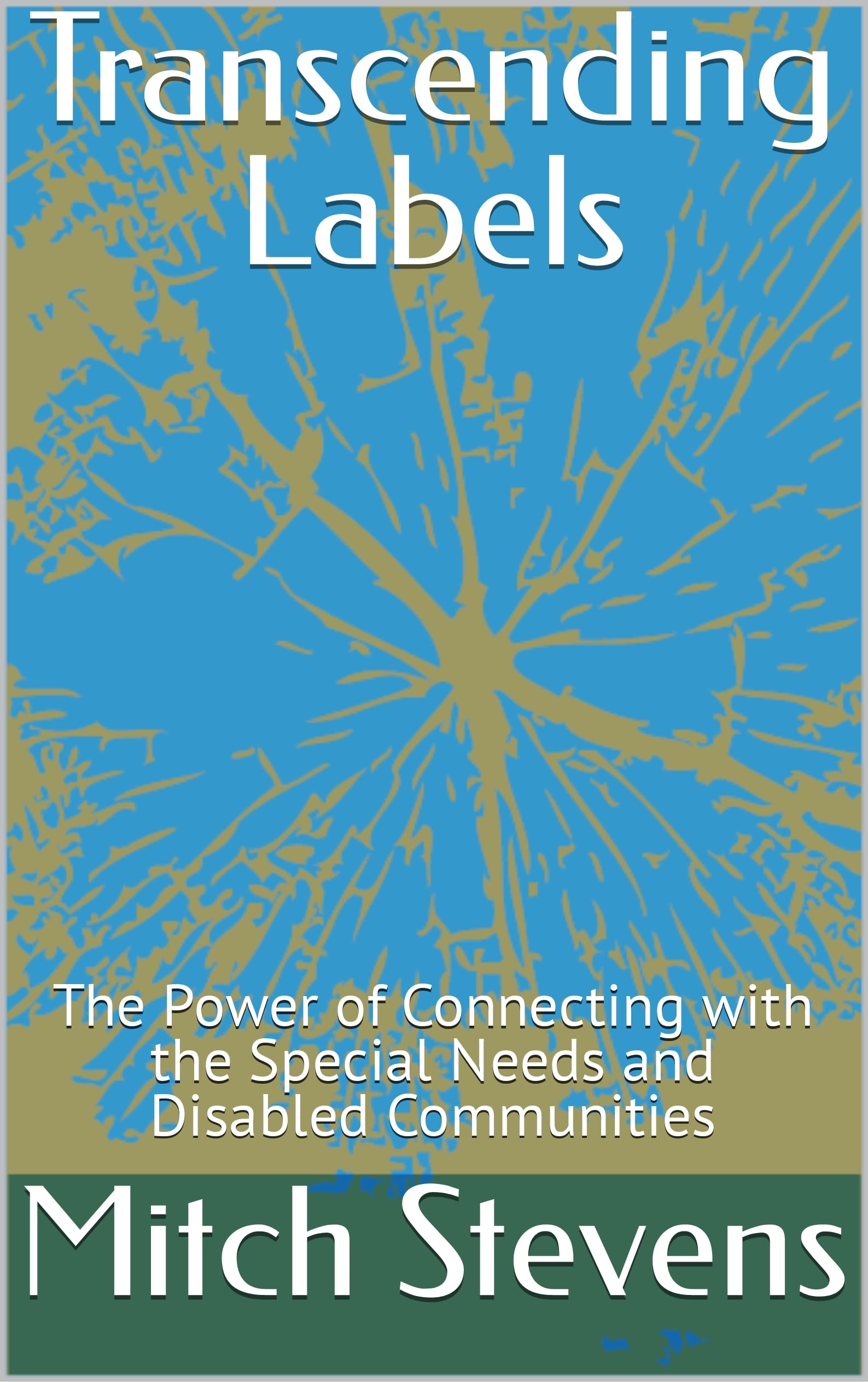 Transcending Labels: The Power of Connecting with the Special Needs and ...