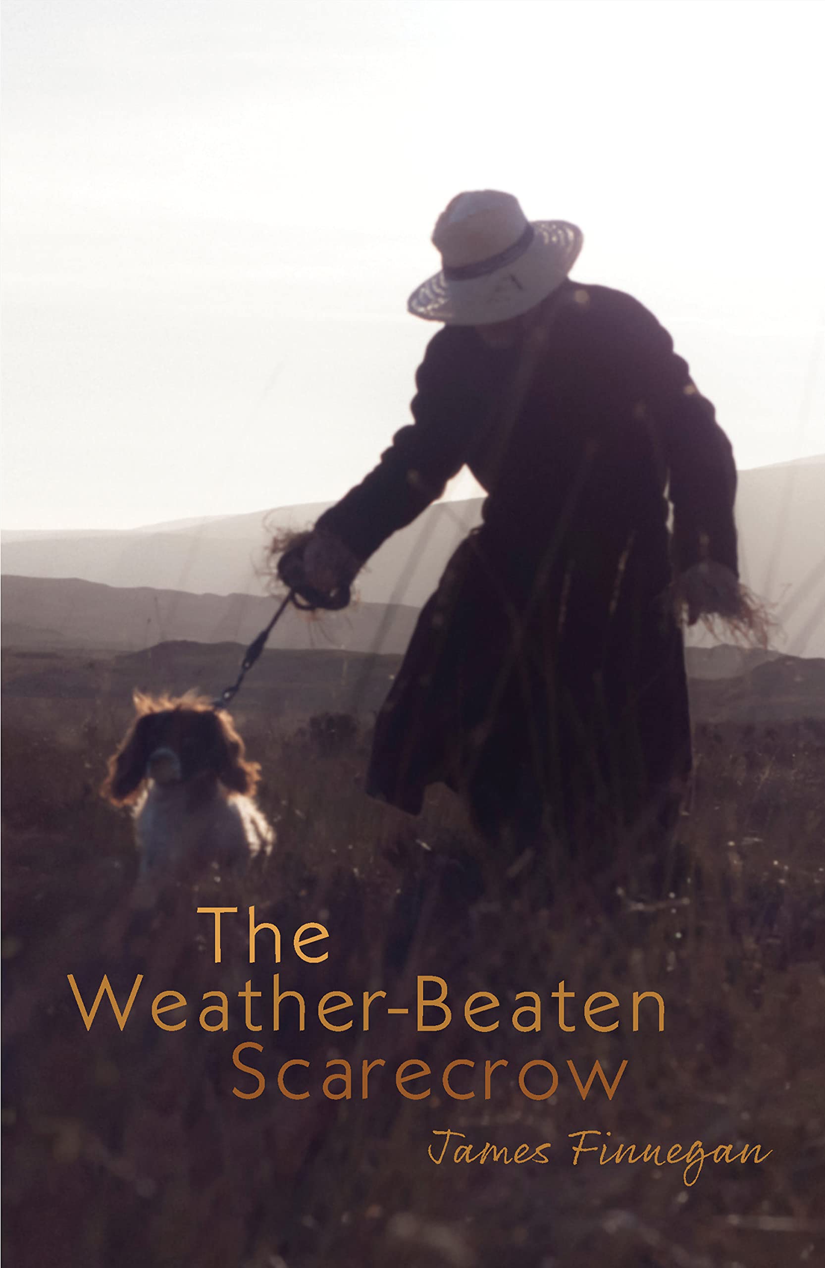 The Weather-Beaten Scarecrow by James Finnegan | Goodreads