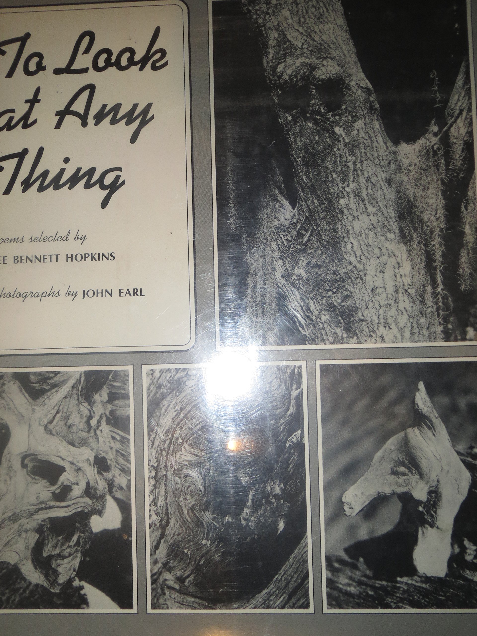 To Look at Any Thing: Poems by Lee Bennett Hopkins | Goodreads