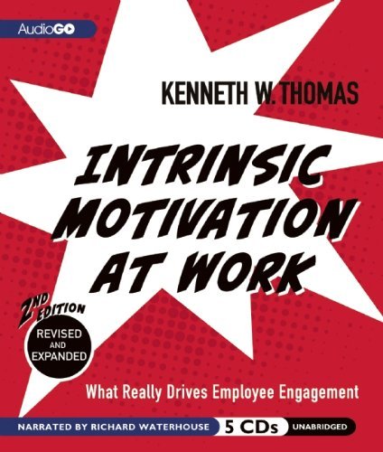 Intrinsic Motivation at Work, 2nd Edition: What Really Drives Employee ...