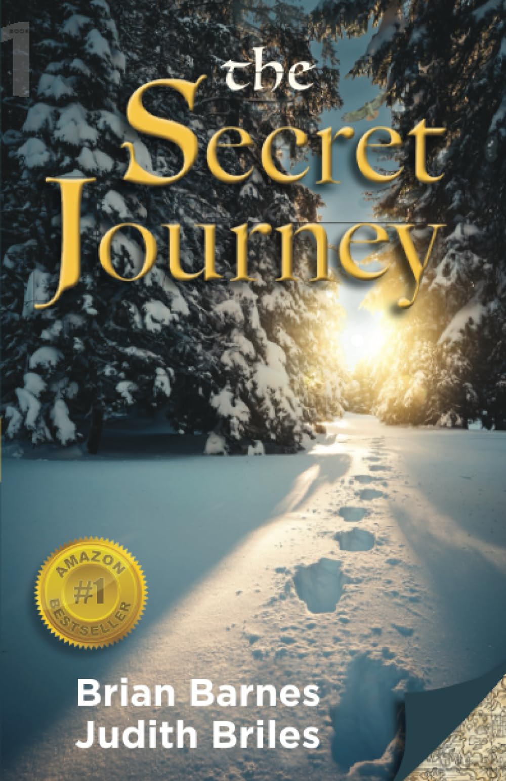 the secret journey by Brian Barnes | Goodreads