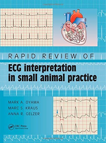 Rapid Review of ECG Interpretation in Small Animal Practice by Oyama ...