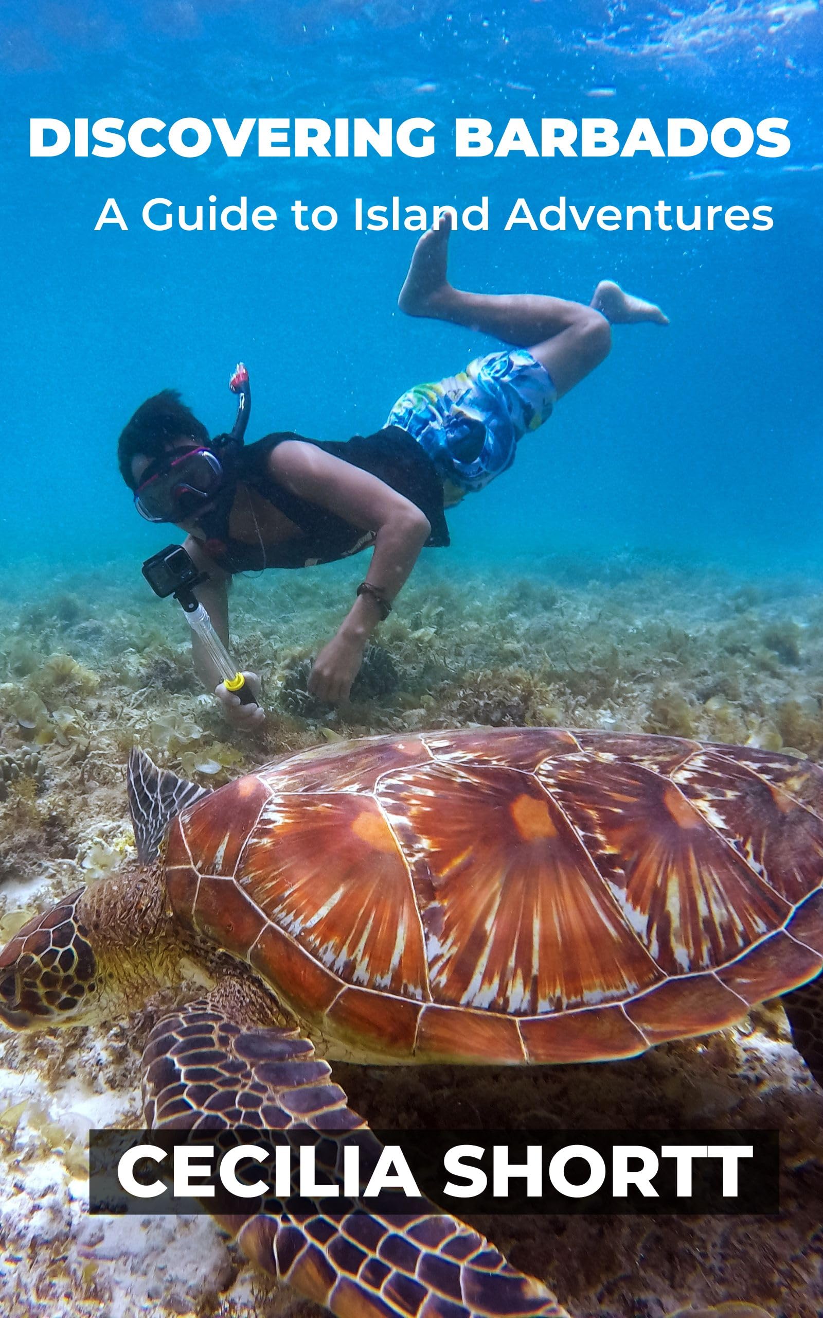 Discovering Barbados: A Guide to Island Adventures by Cecilia Shortt ...
