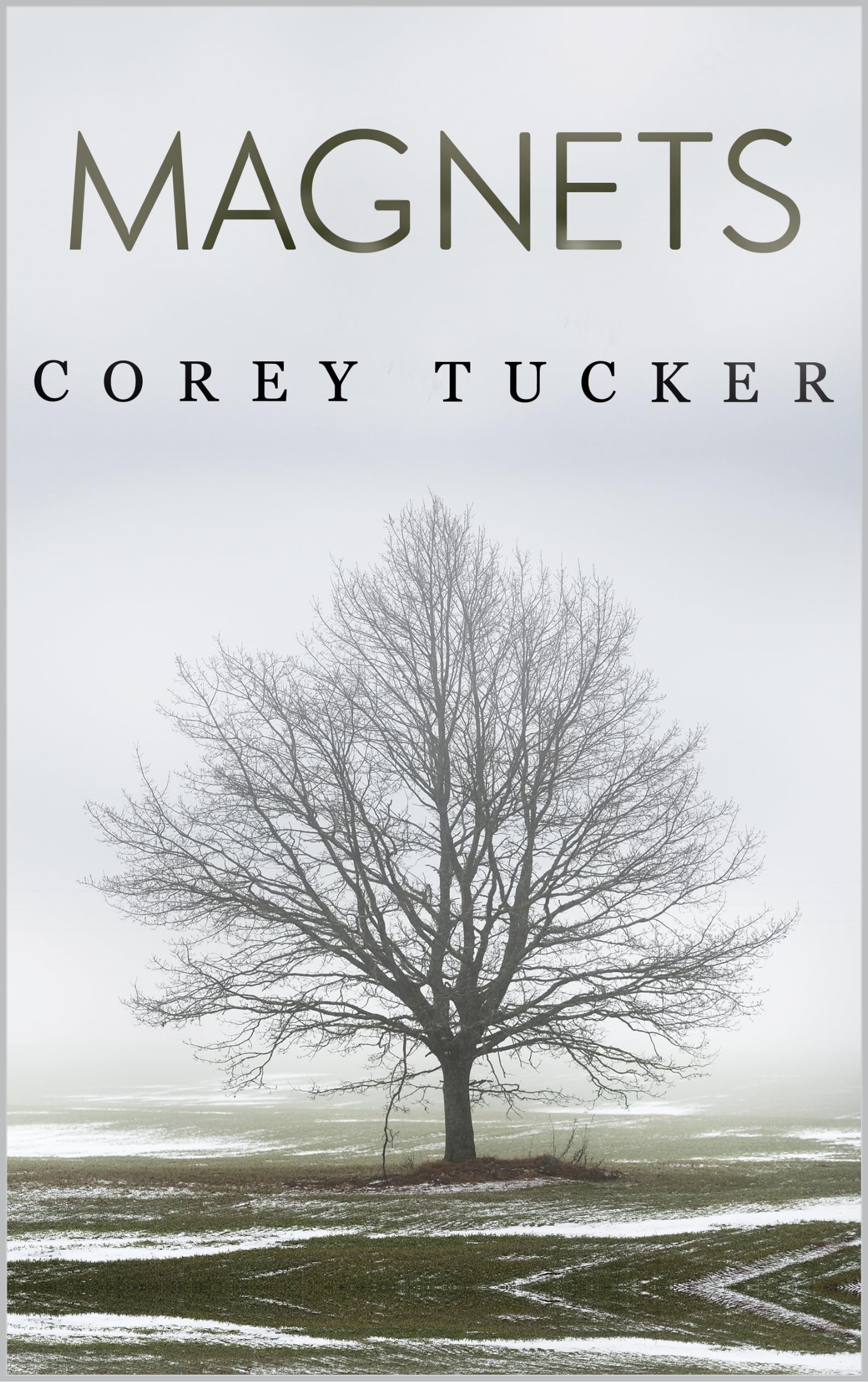 Magnets by Corey Tucker | Goodreads
