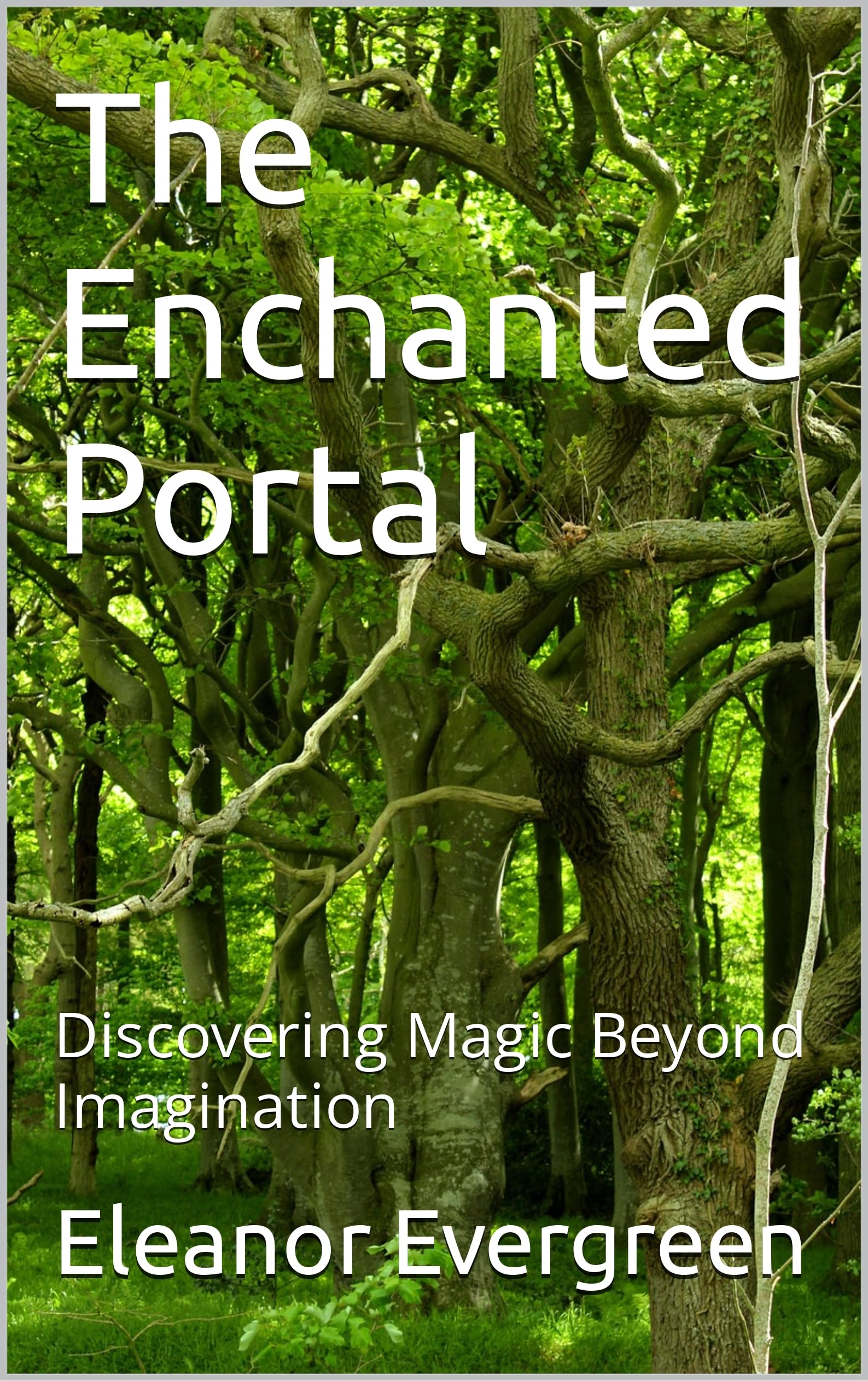 The Enchanted Portal: Discovering Magic Beyond Imagination by Eleanor Evergreen | Goodreads