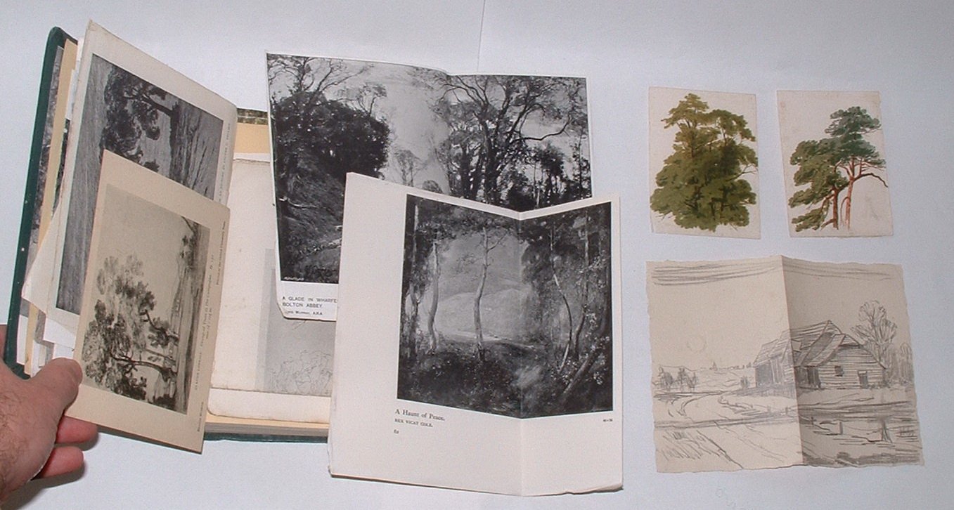 The Artistic Anatomy of Trees: Their Structure & Treatment in Painting ...