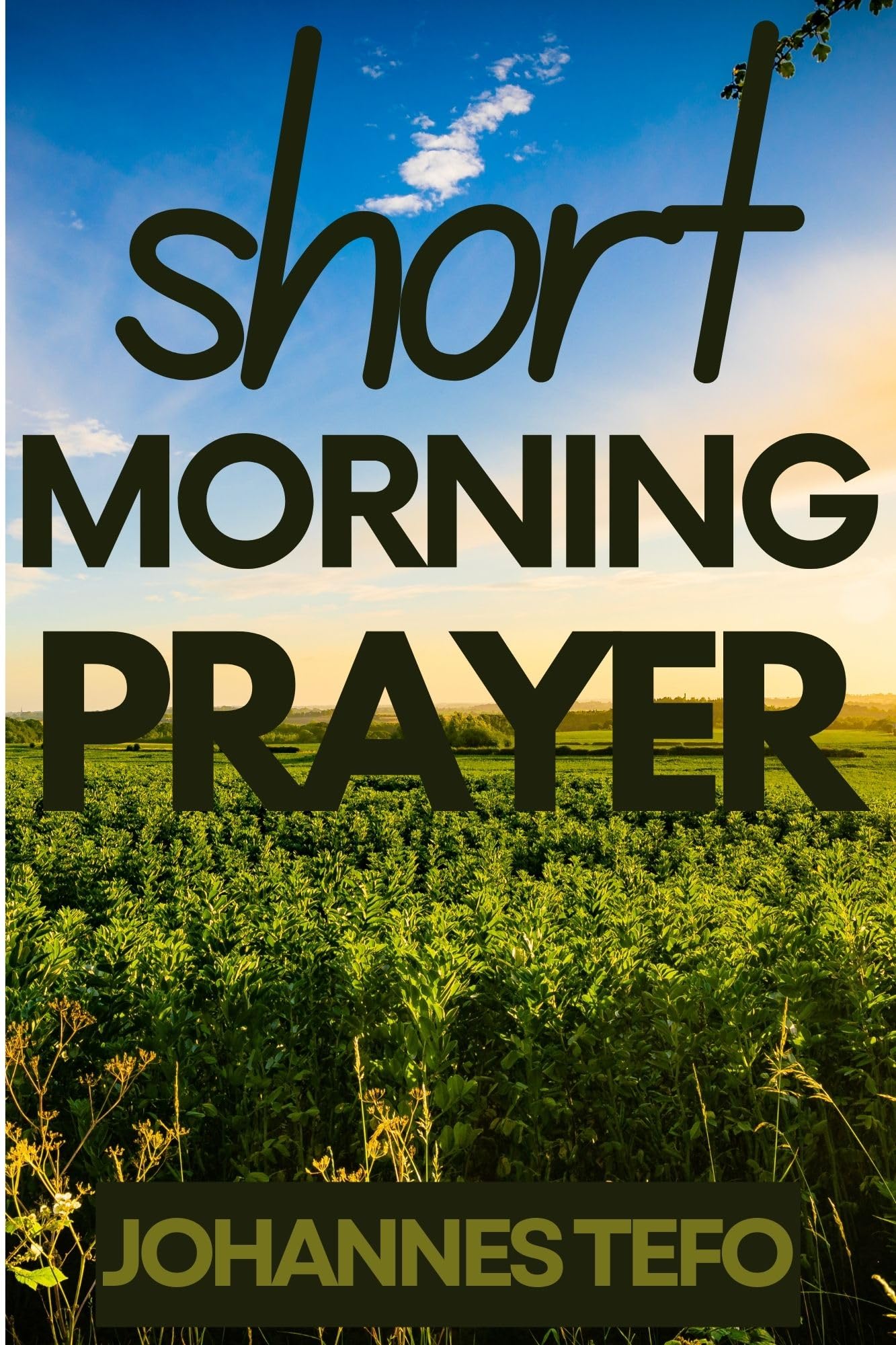 Short Morning Prayer: Powerful Quick Morning Prayer Book Before You Do ...
