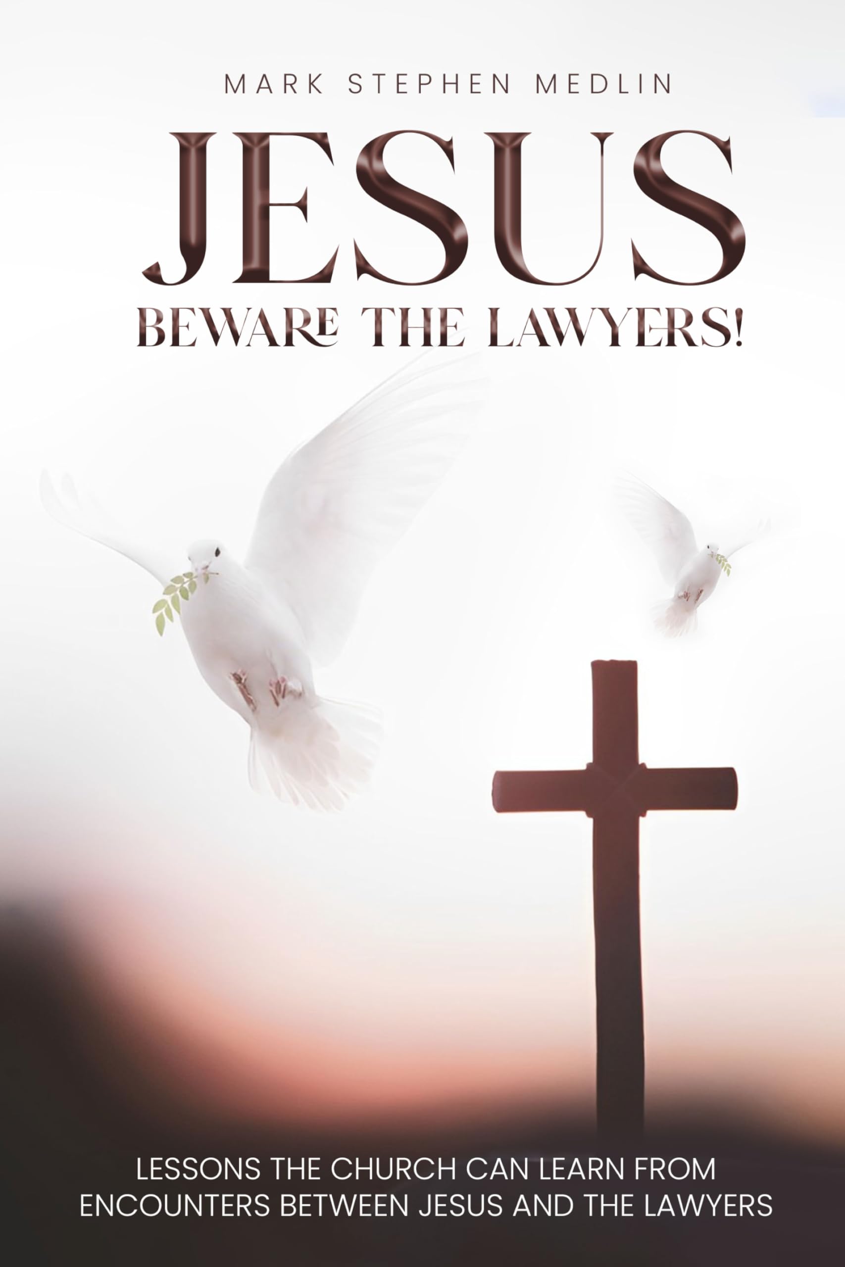 Jesus, Beware the Lawyers by Mark Stephen Medlin | Goodreads