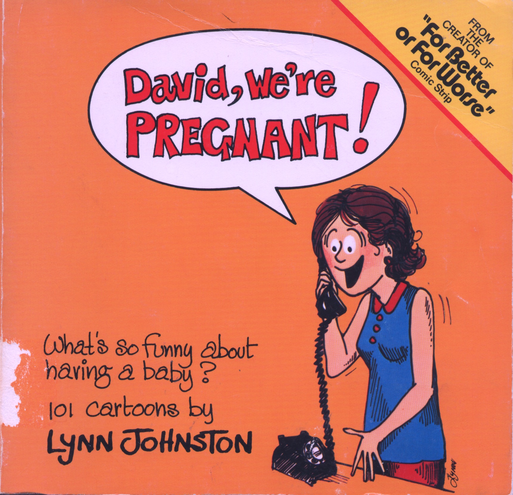David, We're Pregnant! 101 Cartoons for Expecting Parents by Lynn ...