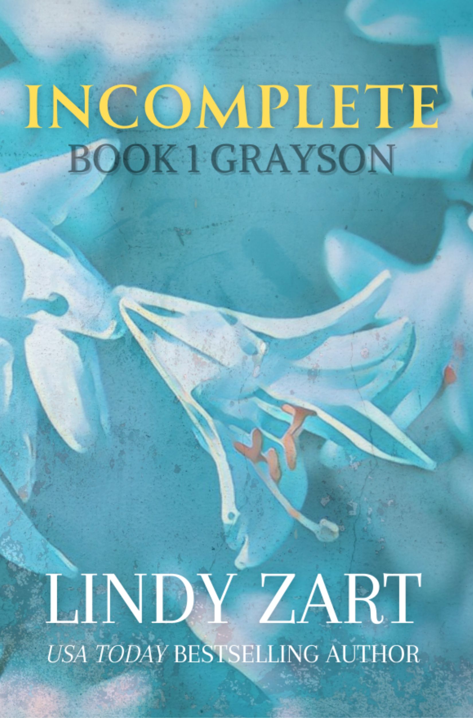 Incomplete (Incomplete, #1) by Lindy Zart | Goodreads