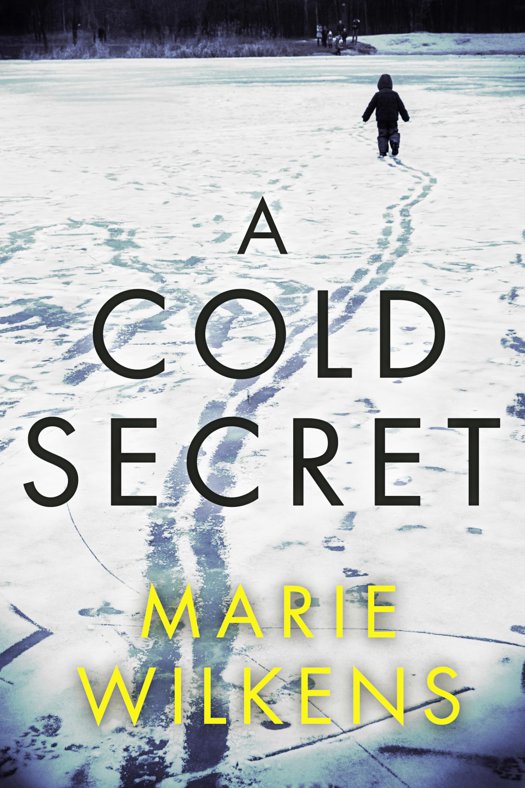A Cold Secret (A Riveting Kidnapping Mystery #58) by Marie Wilkens ...