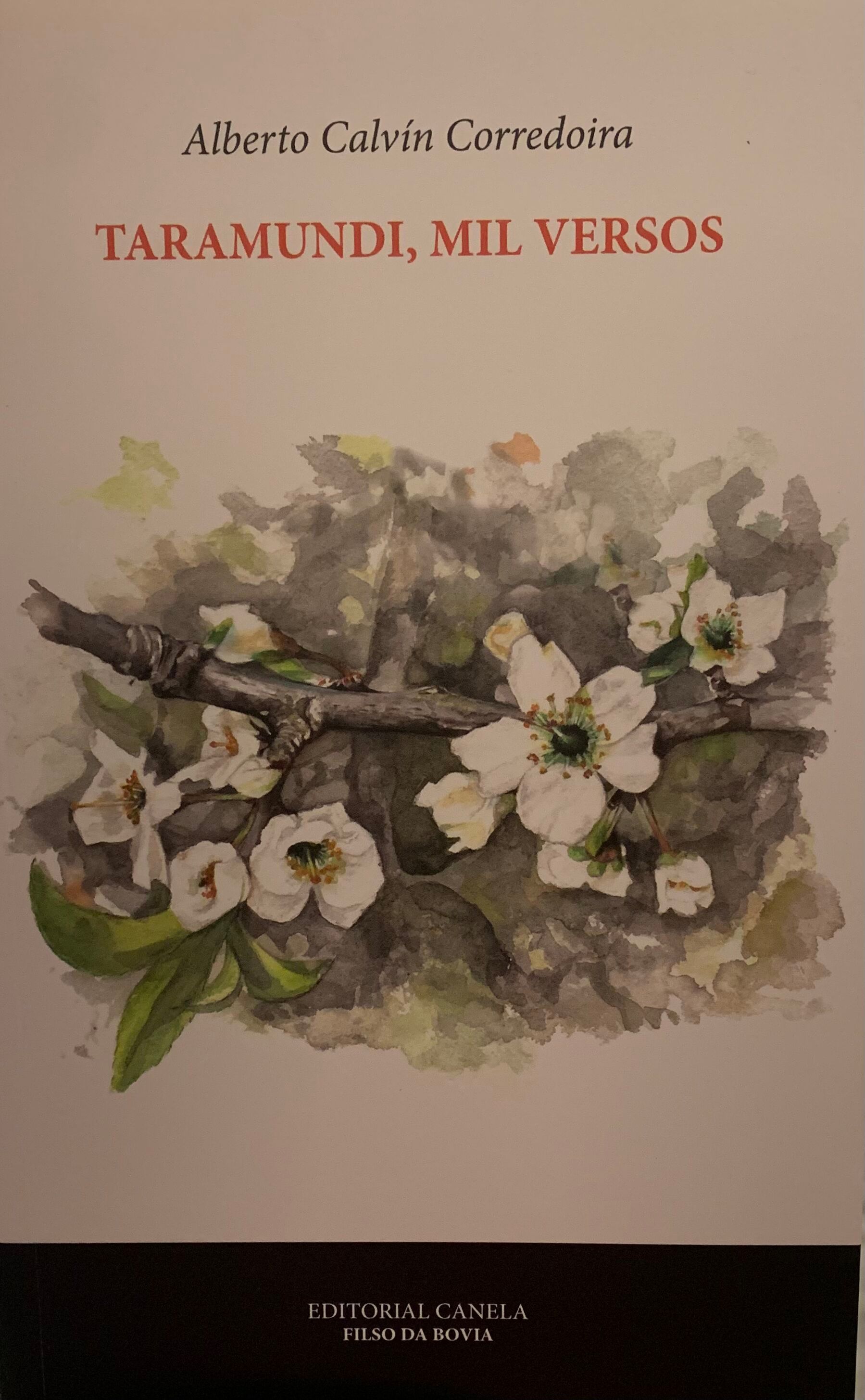 Taramundi, mil versos by Alberto Calvín Corredoira | Goodreads